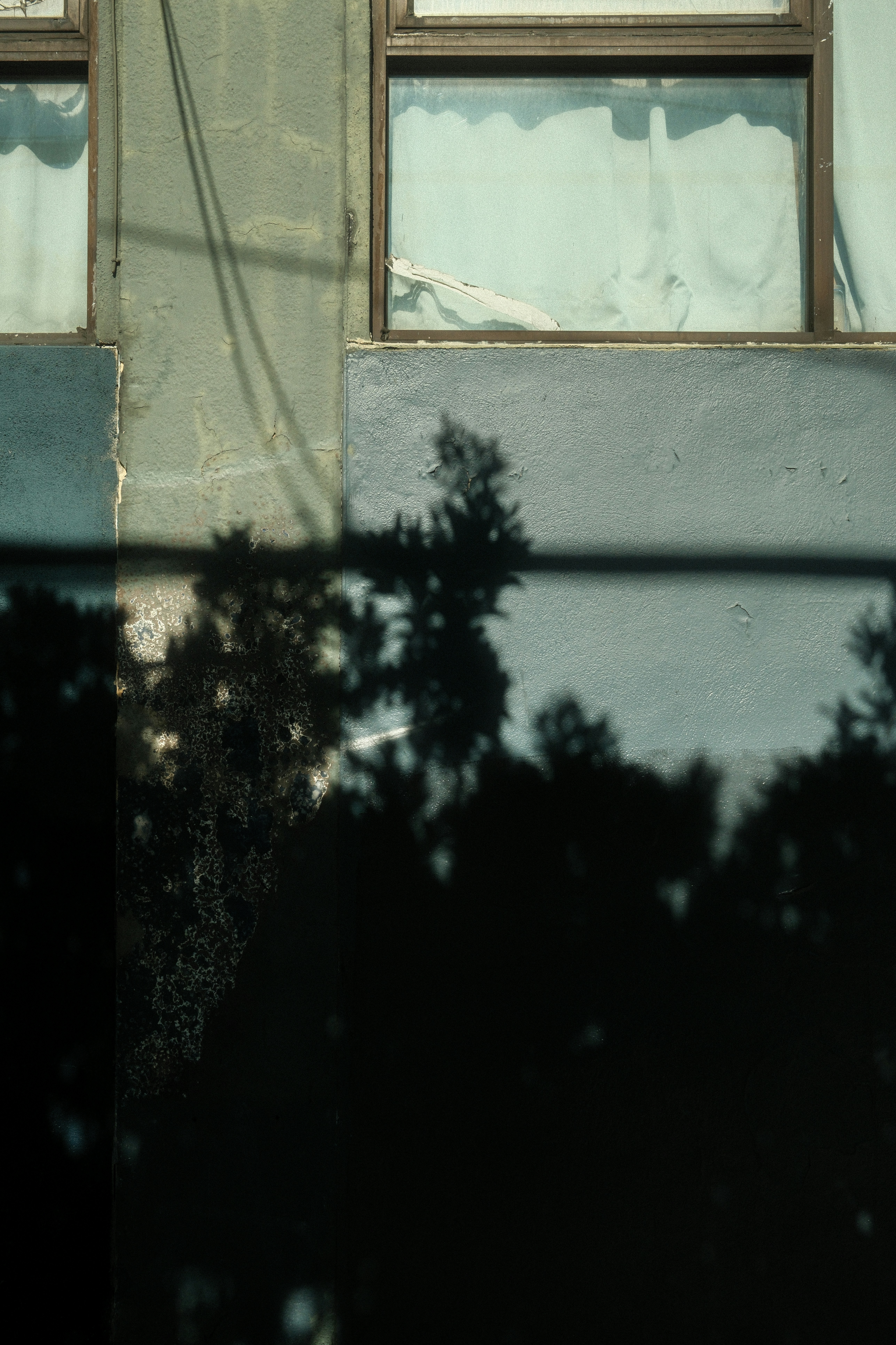 Shadowed Windows and Faded Facade