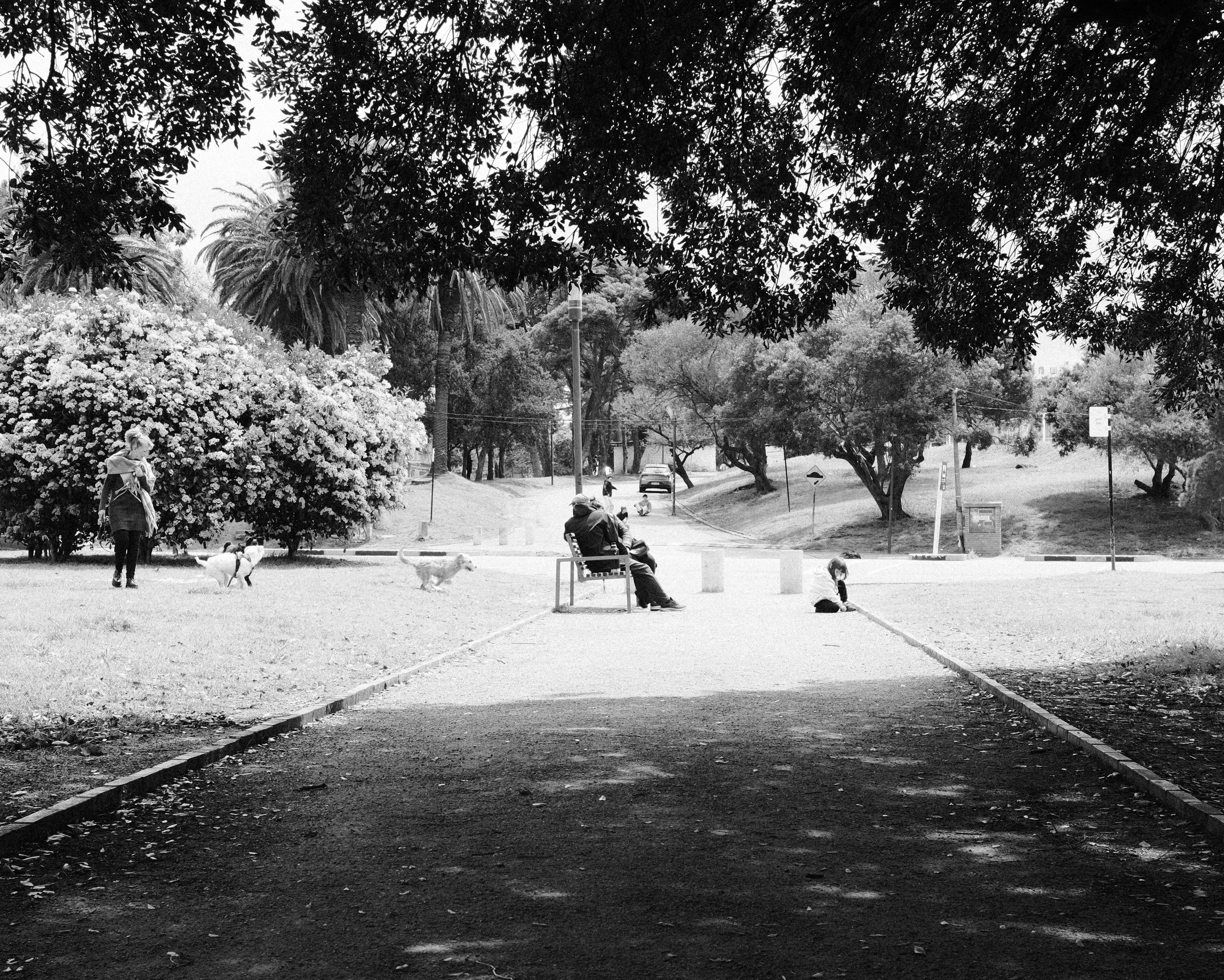 Quiet Confidence in the Park: A Black-and-White Moment