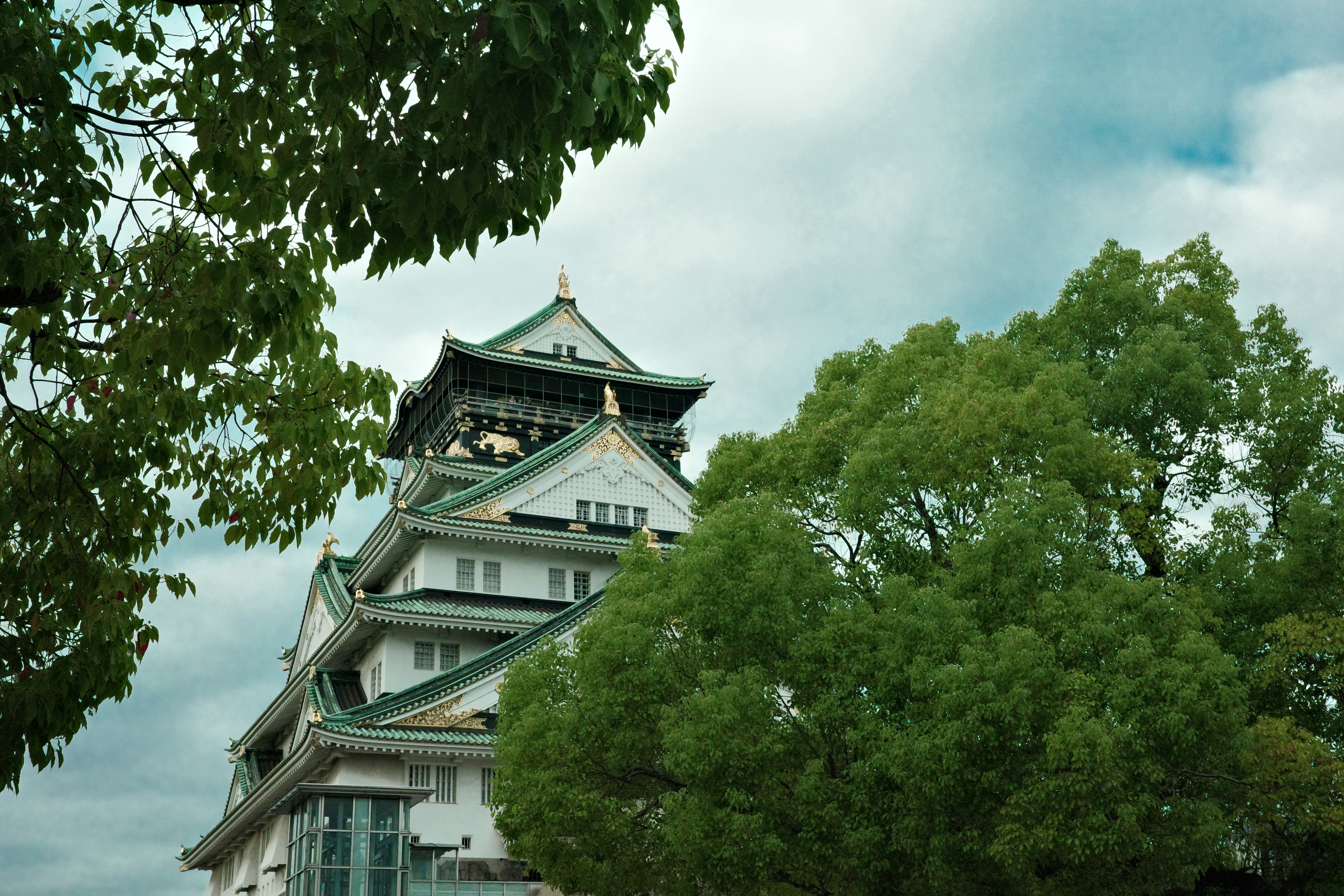 Castle Crest in Green: A Temple of Stone Amid Dense Foliage