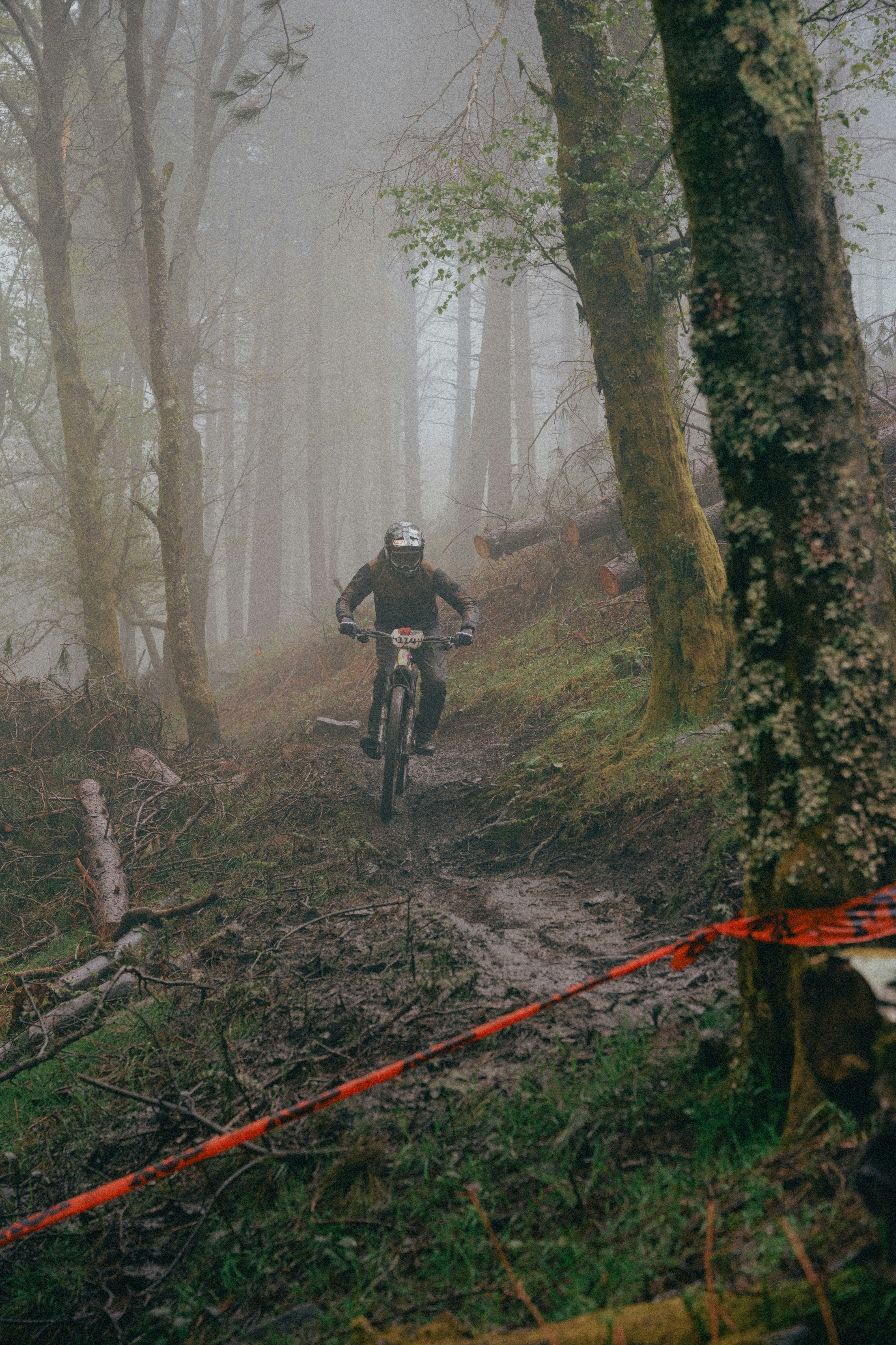 Mistbound Descent: Mountain Biker Navigates a Cloaked Forest Trail
