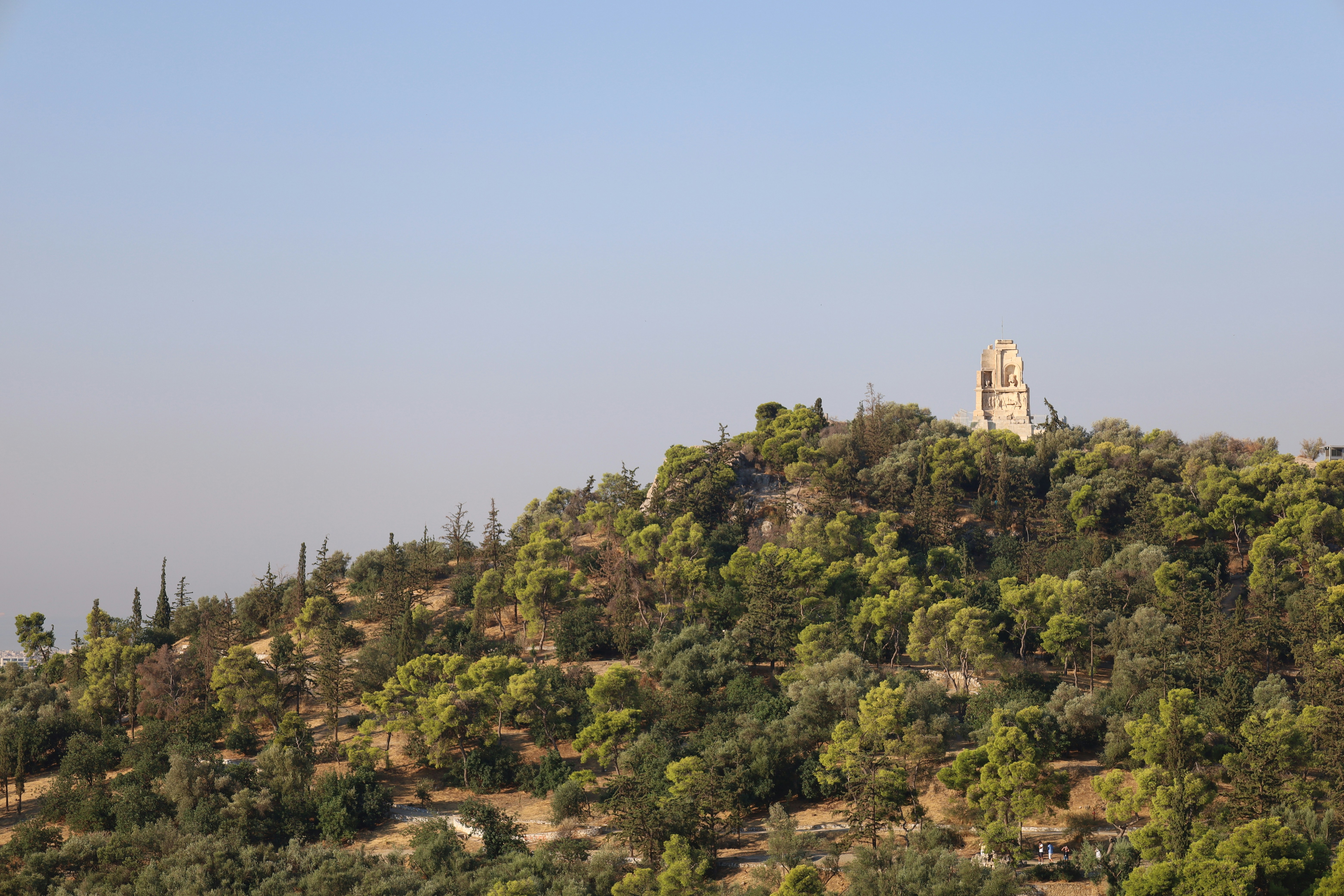 Hilltop Monument Amid Classical Olive Knollscape