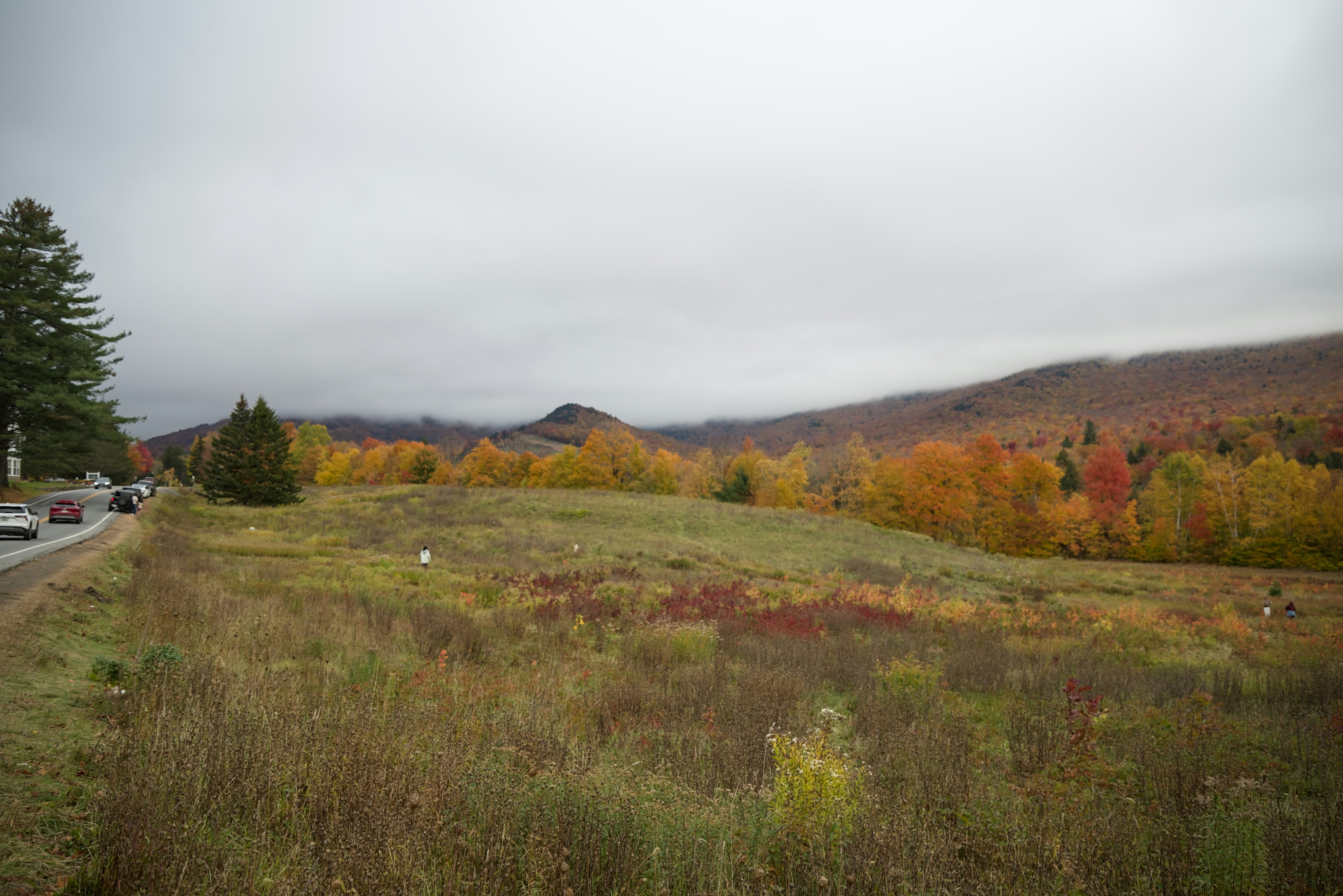 Open field with autumnal trees and distant hills under a gray sky; a rural road and few parked cars visible on the left, capturing a tranquil landscape with seasonal color.