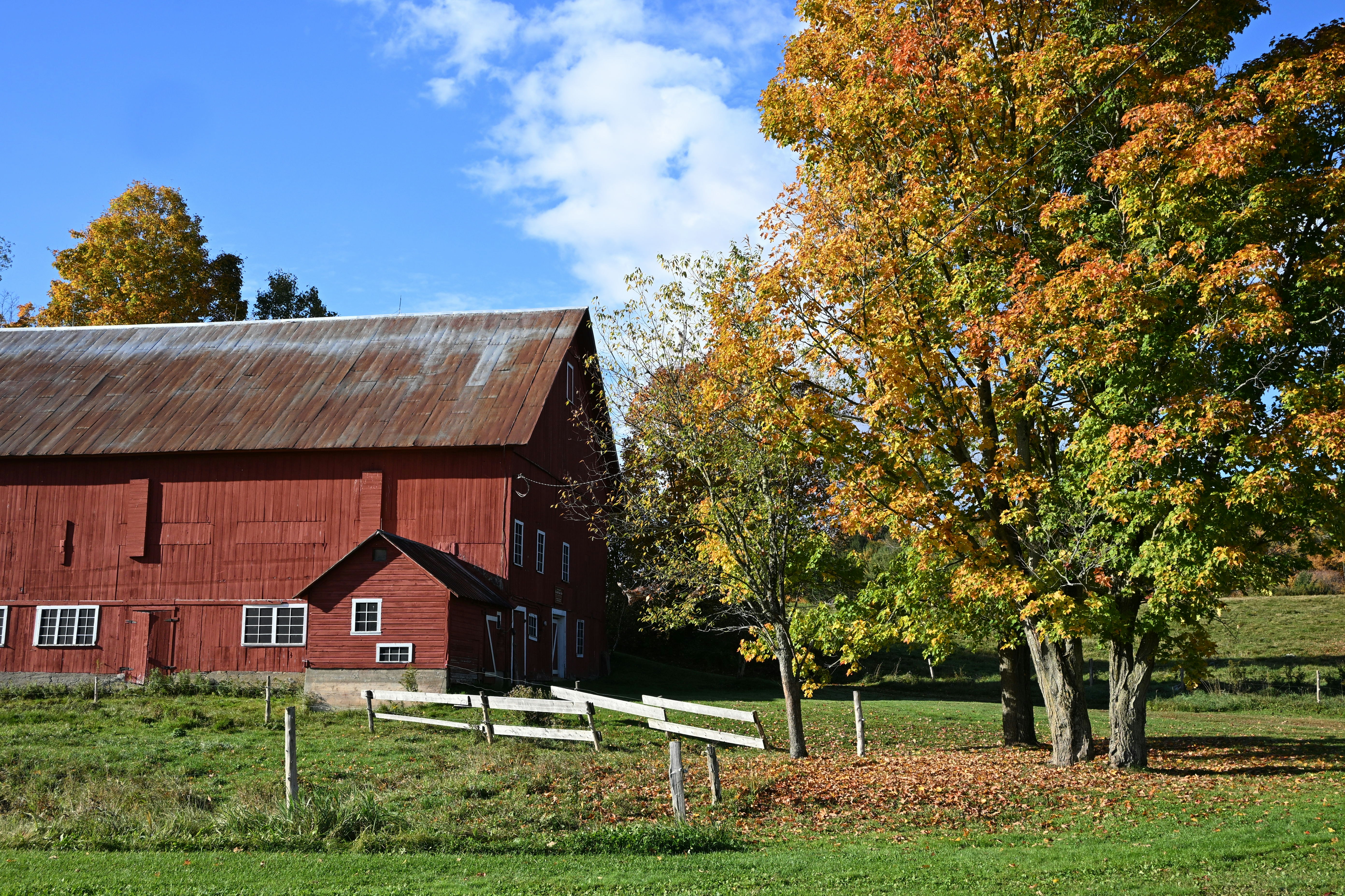 Red Barn by the Sunlit Orchard
