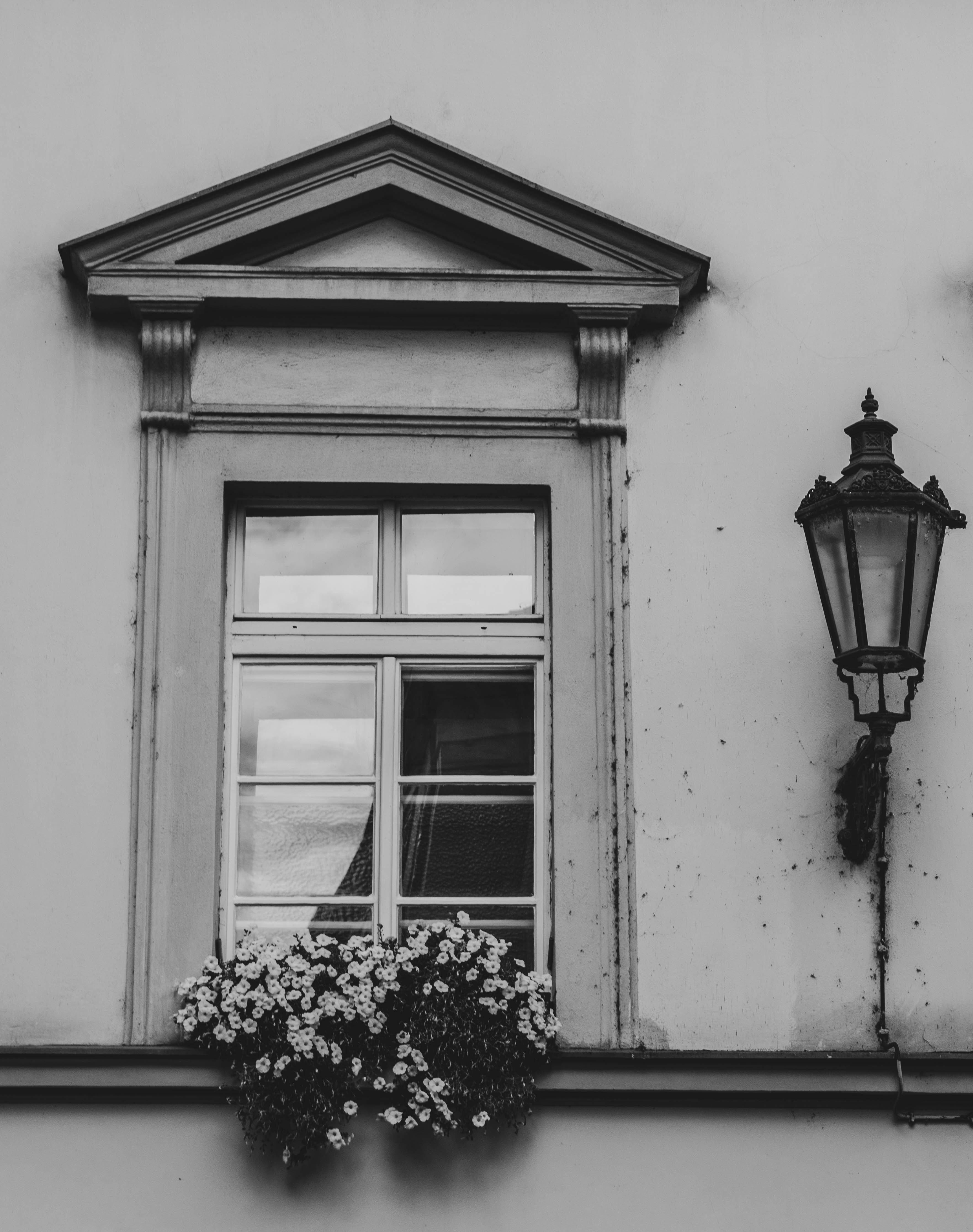 Elegy on a Corridor Wall: A Window, Lantern, and Blooms