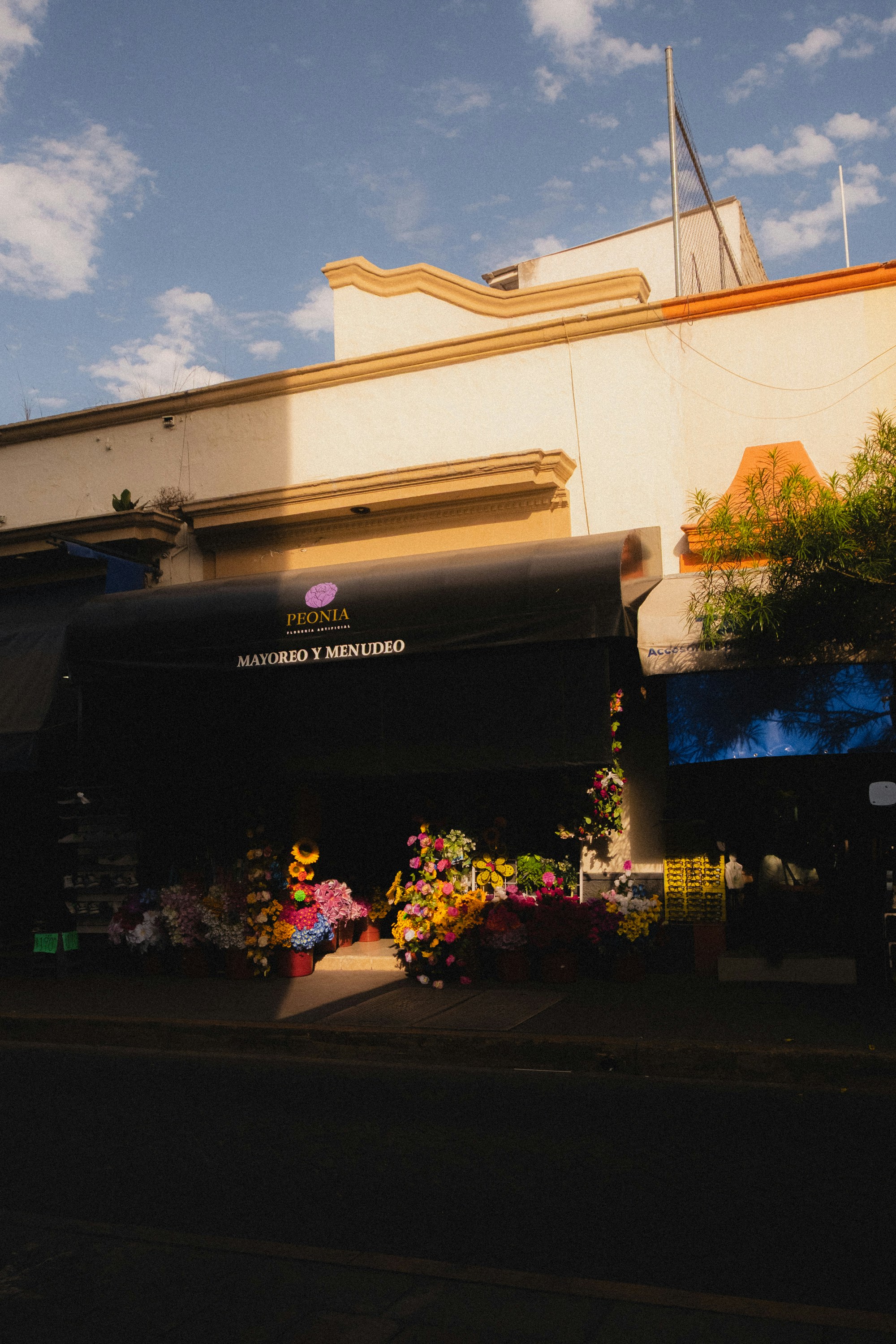 Flower Stand Under a Shaded Storefront on a Quiet Street