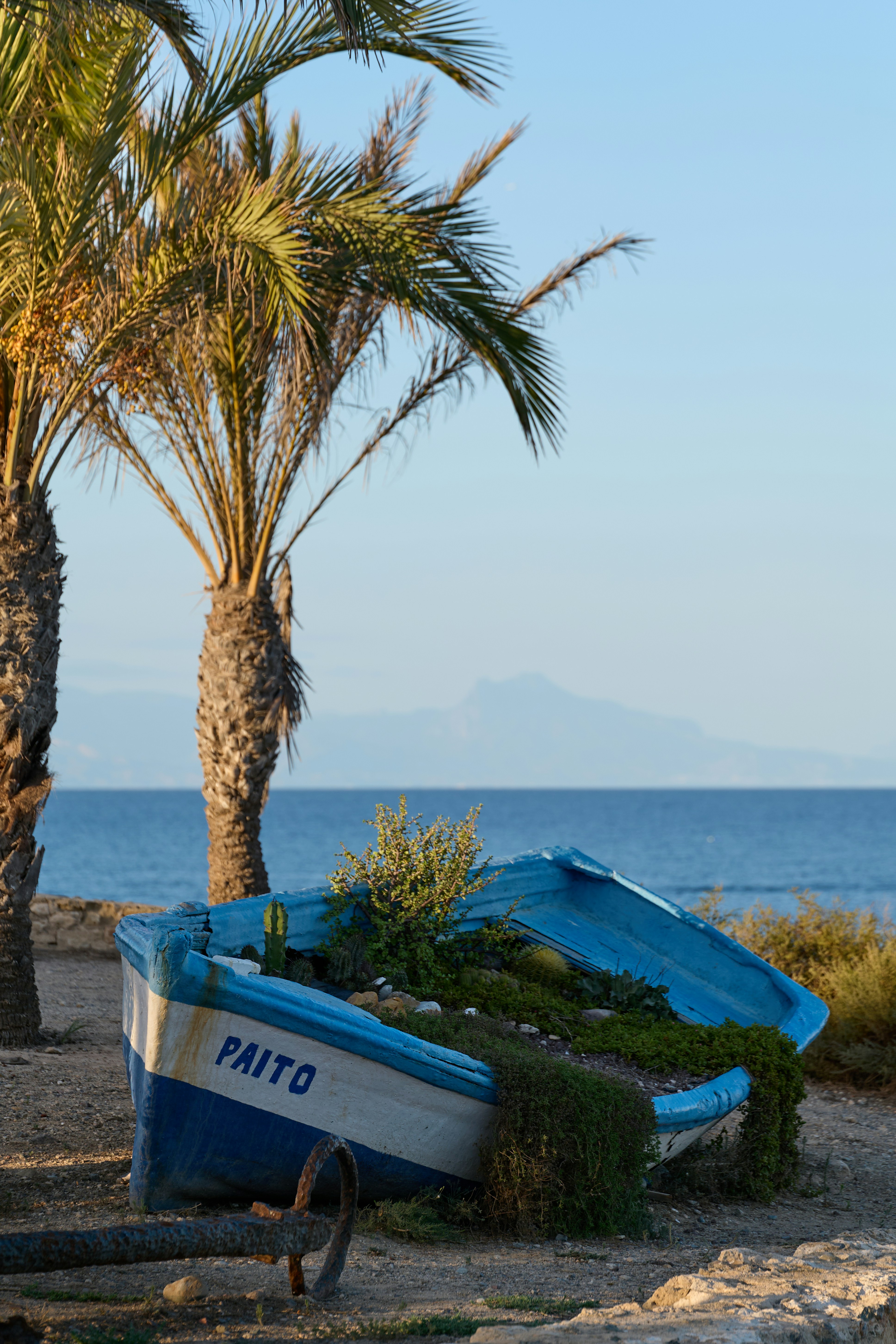 Blue Boat on a Tranquil Beach Between Palms and Sea