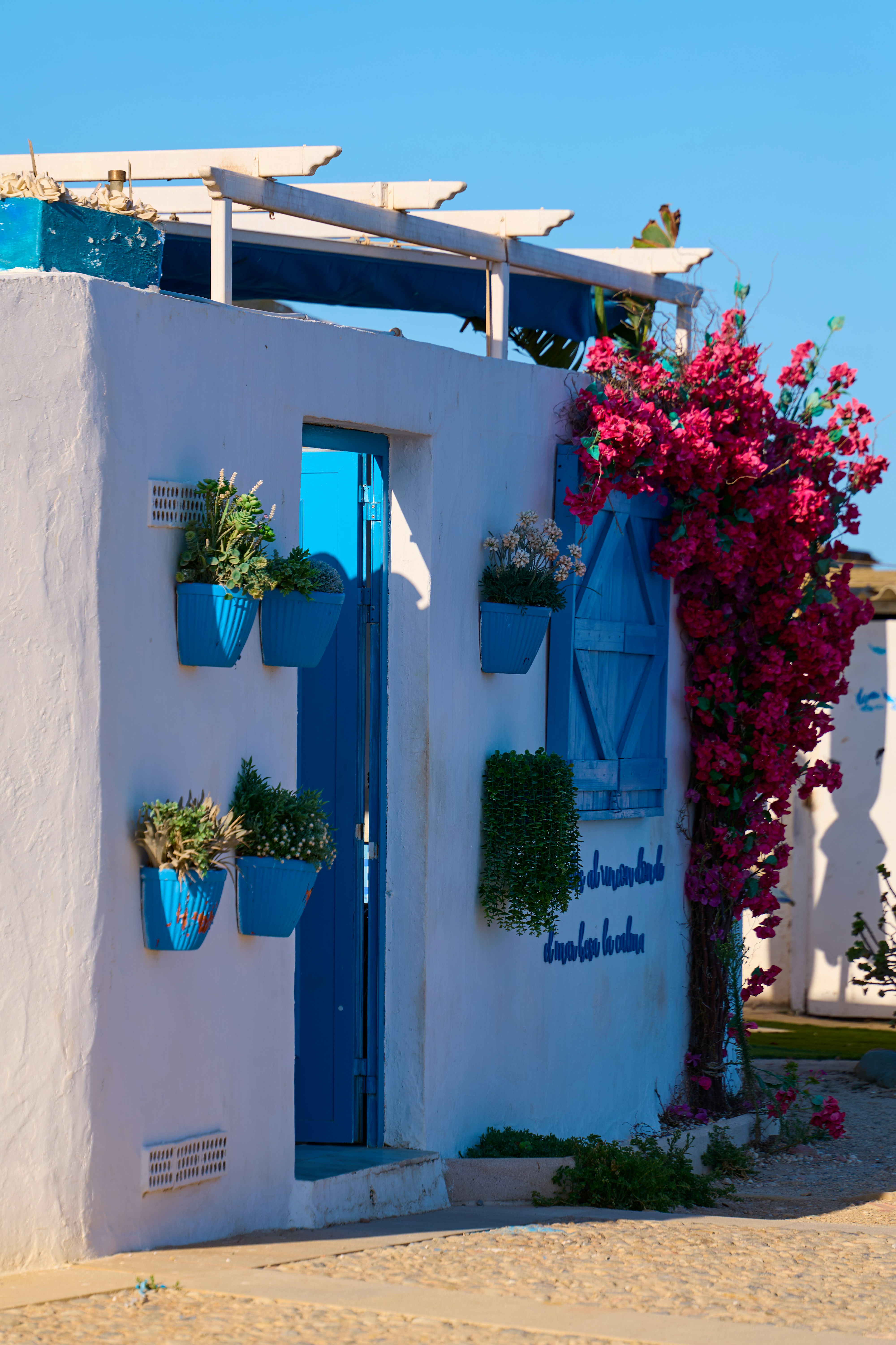 Blue door, Bougainvillea, and potted greenery in a sunlit white village façade