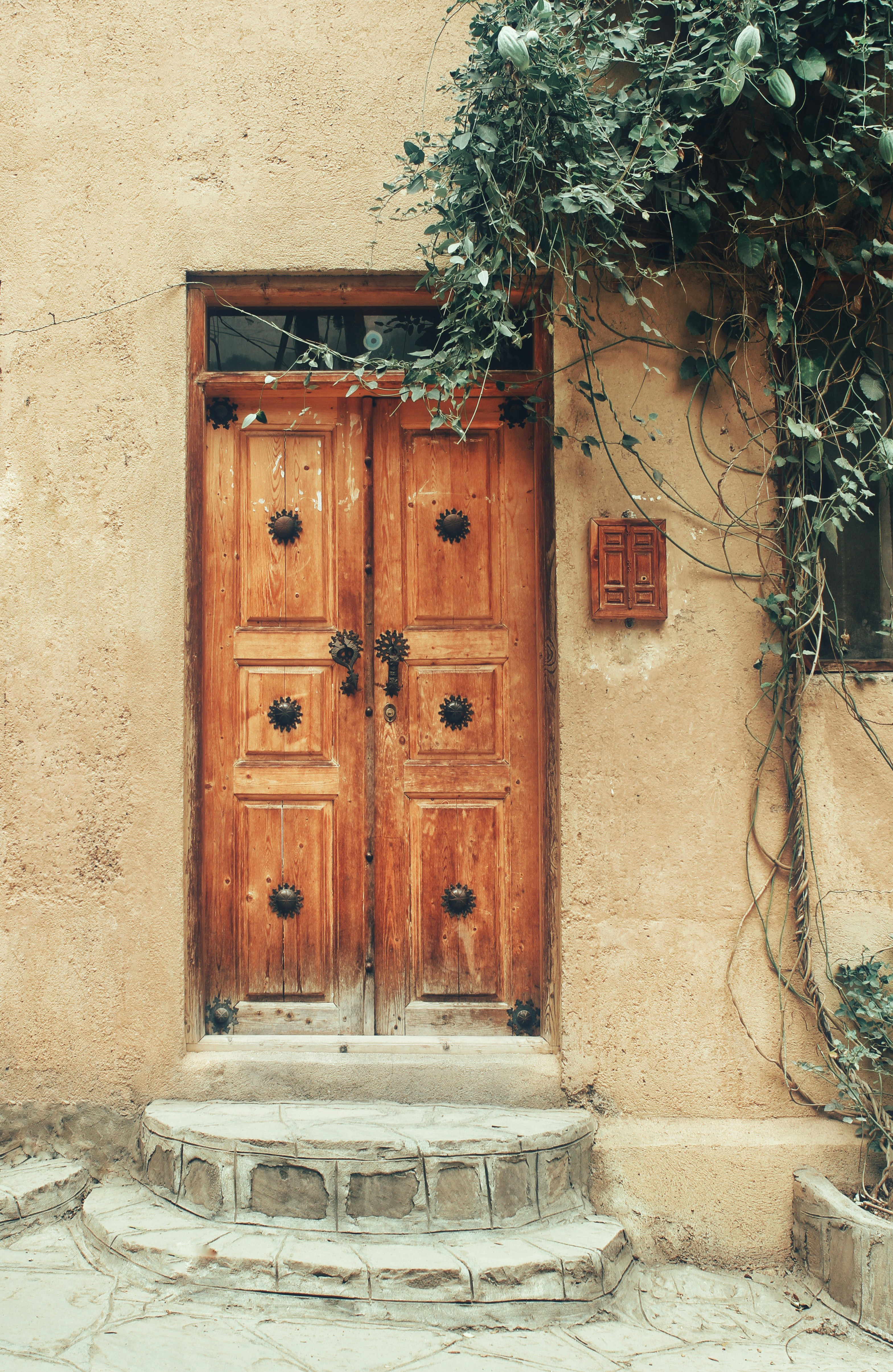 Weathered Cedar Portal: A Rustic Doorway Framed by Vining Greenery