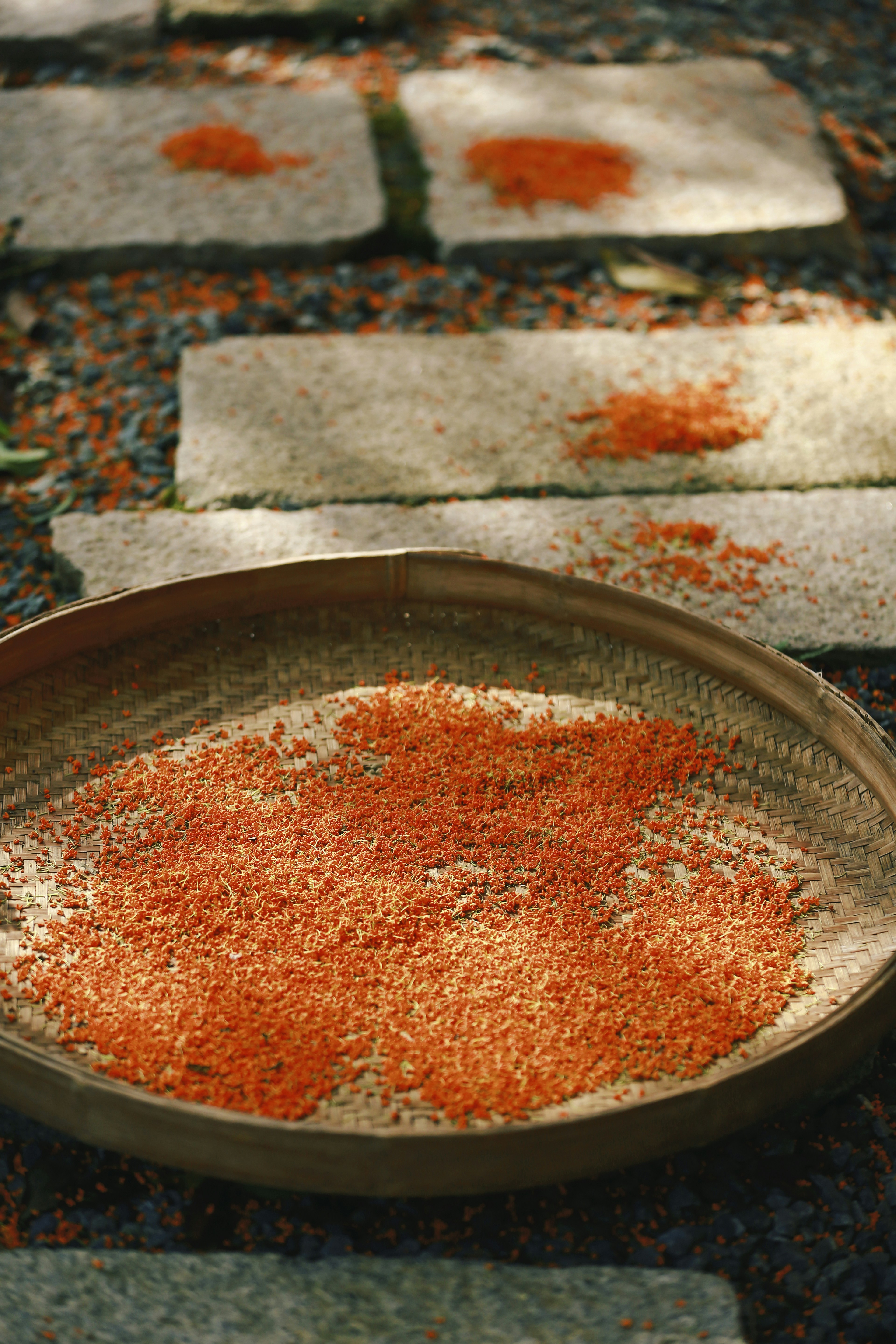 Red Pepper Scatter on Quiet Steps