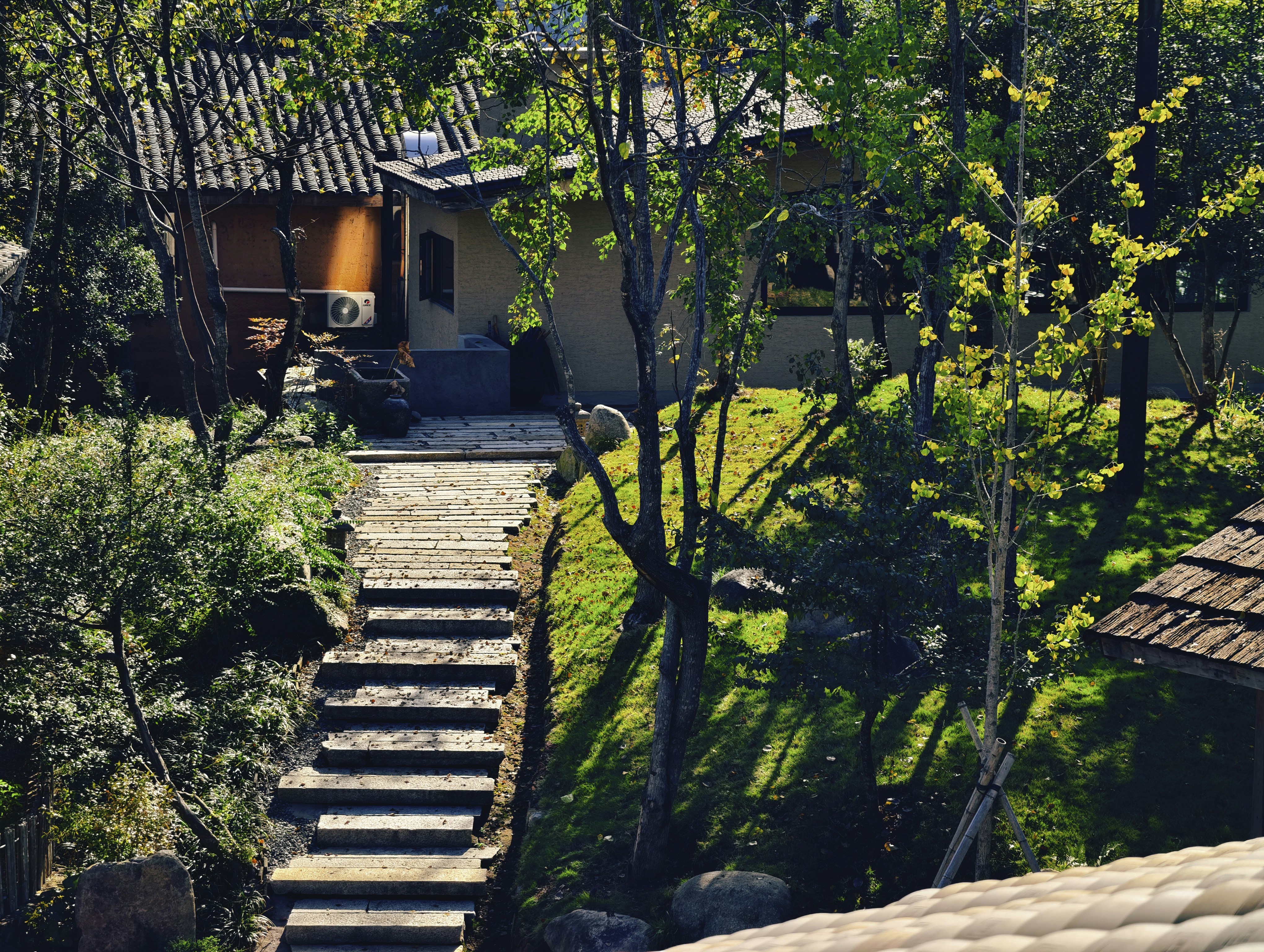 Stone Stairway Through a Sunlit Village Garden