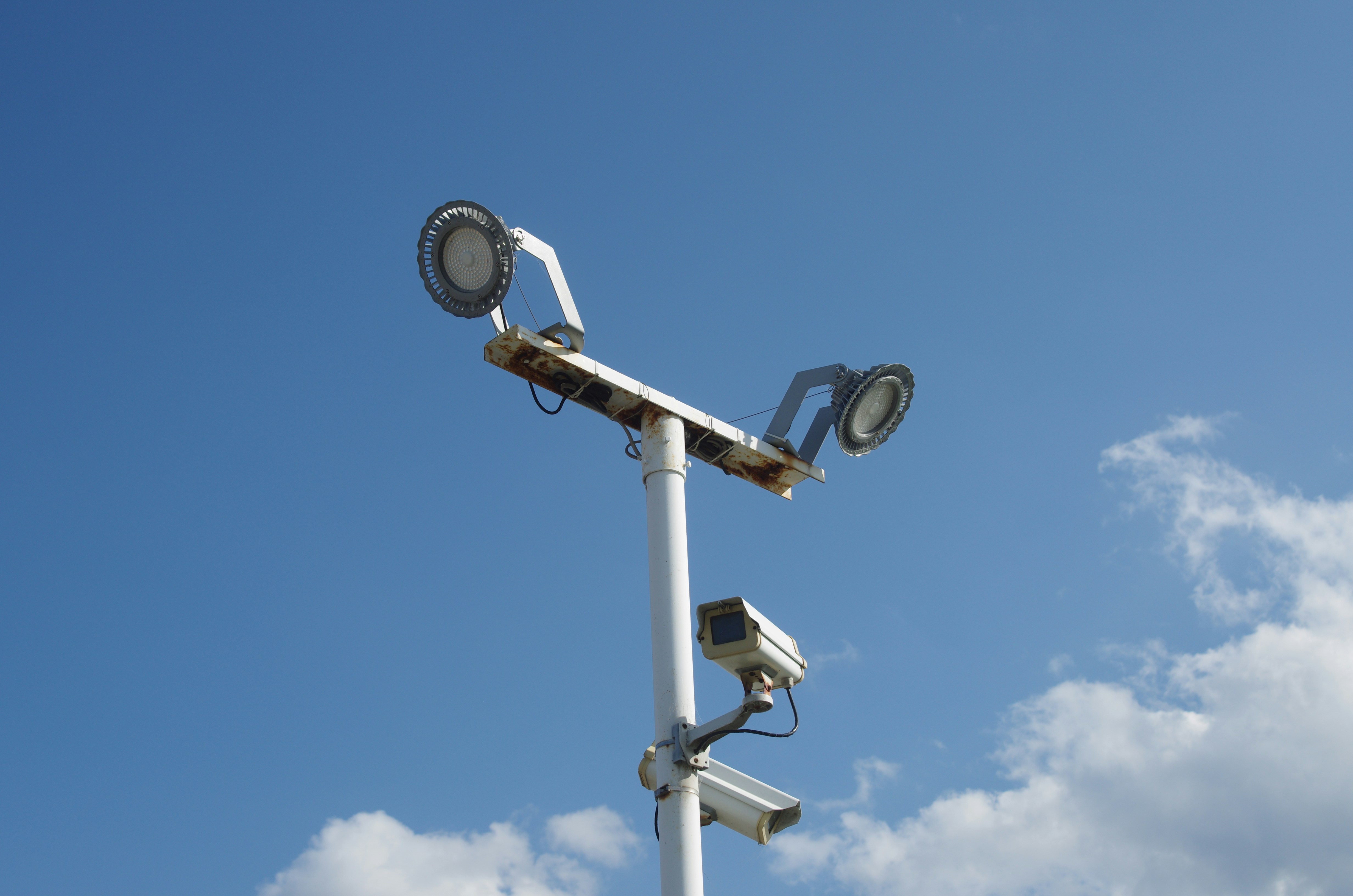 Dual-Head Lightpost Reaching into a Clearsky