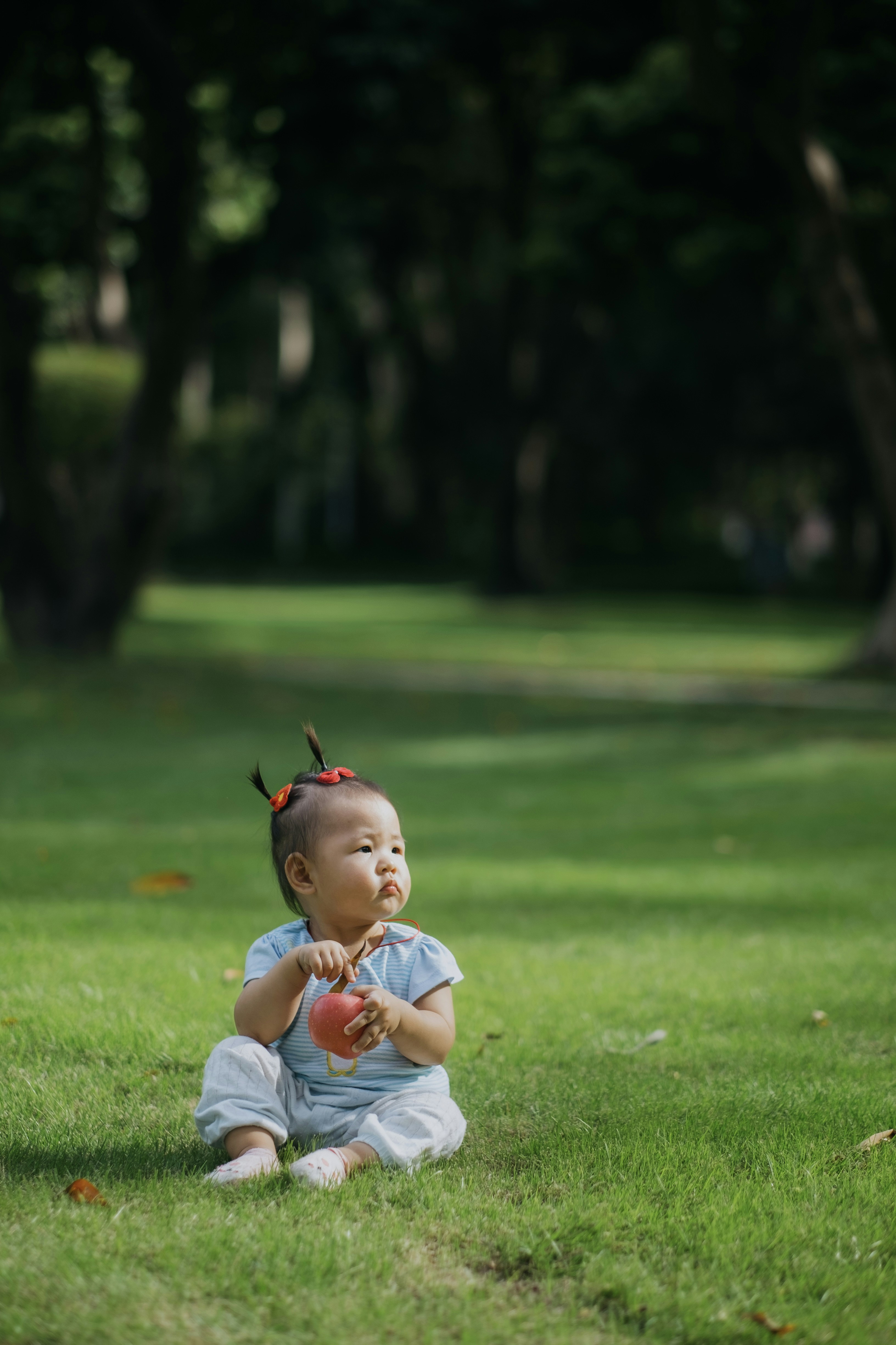 Little Orchard: A Curious Sit in Dappled Park Light