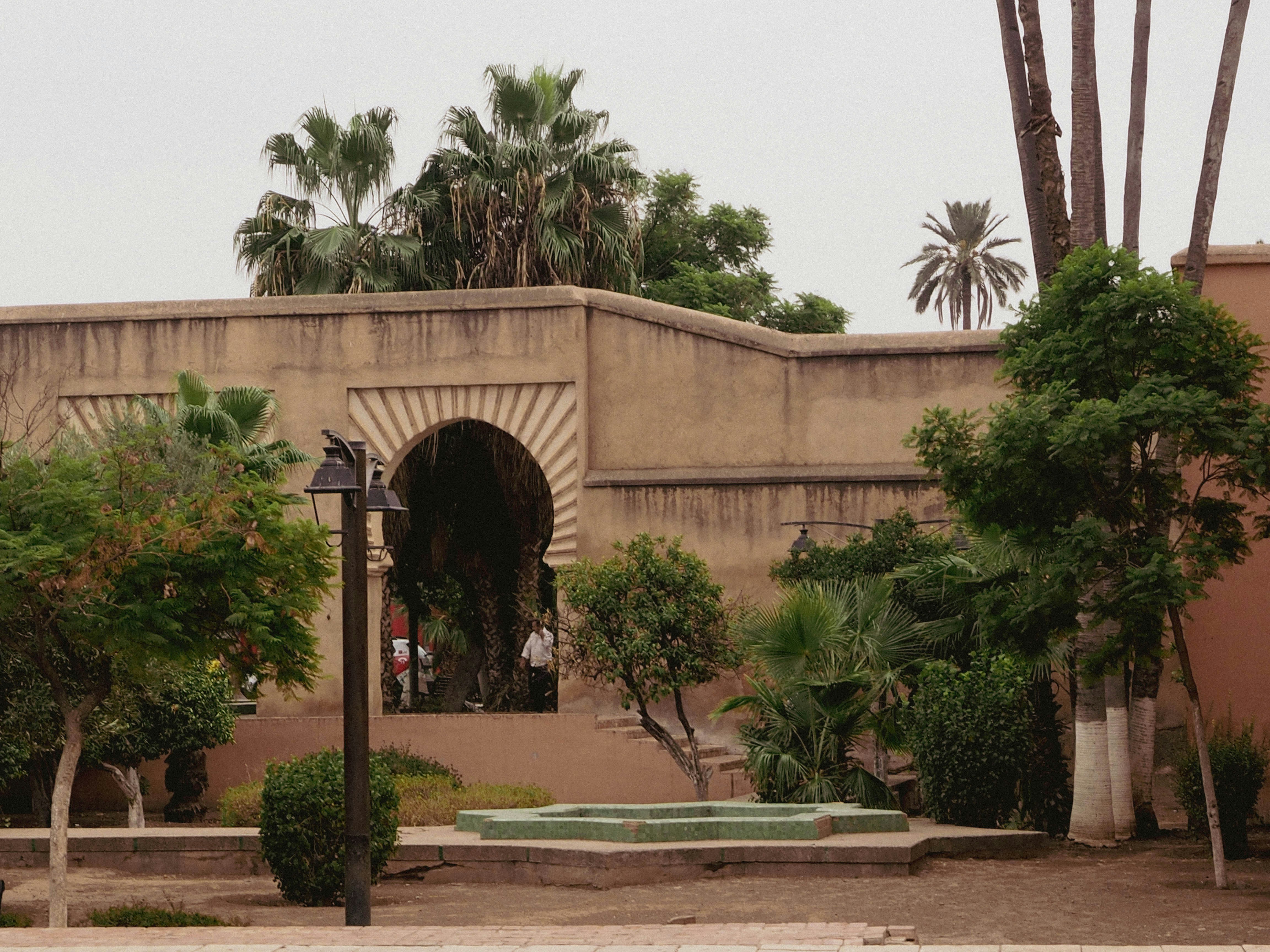 Desert Courtyard Archway Beneath Palms