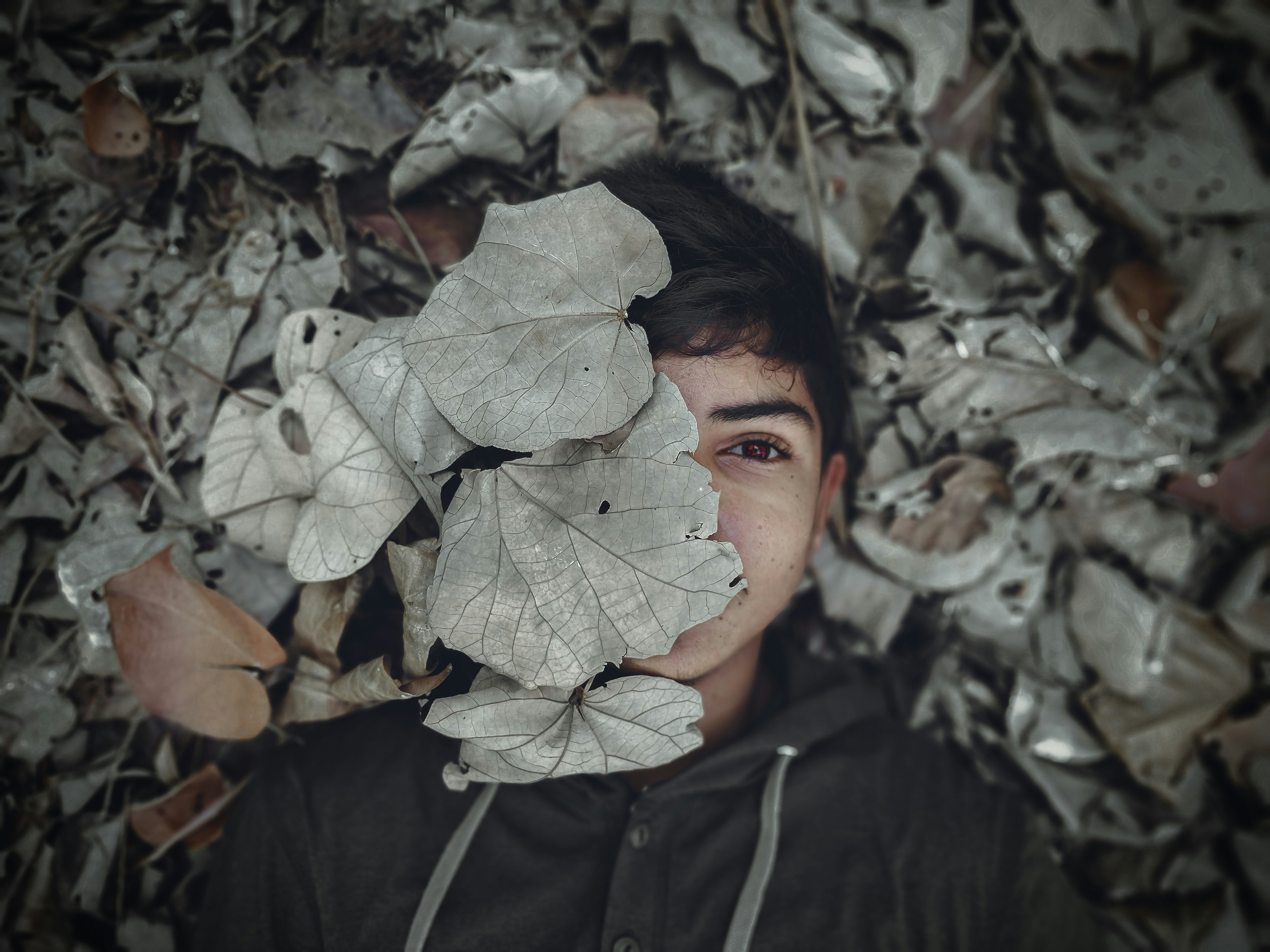 A portrait where a young man's face peeks from behind pale leaves, the foliage forming a natural veil around one eye. This image appears as a moody, natural composition with subdued tones.