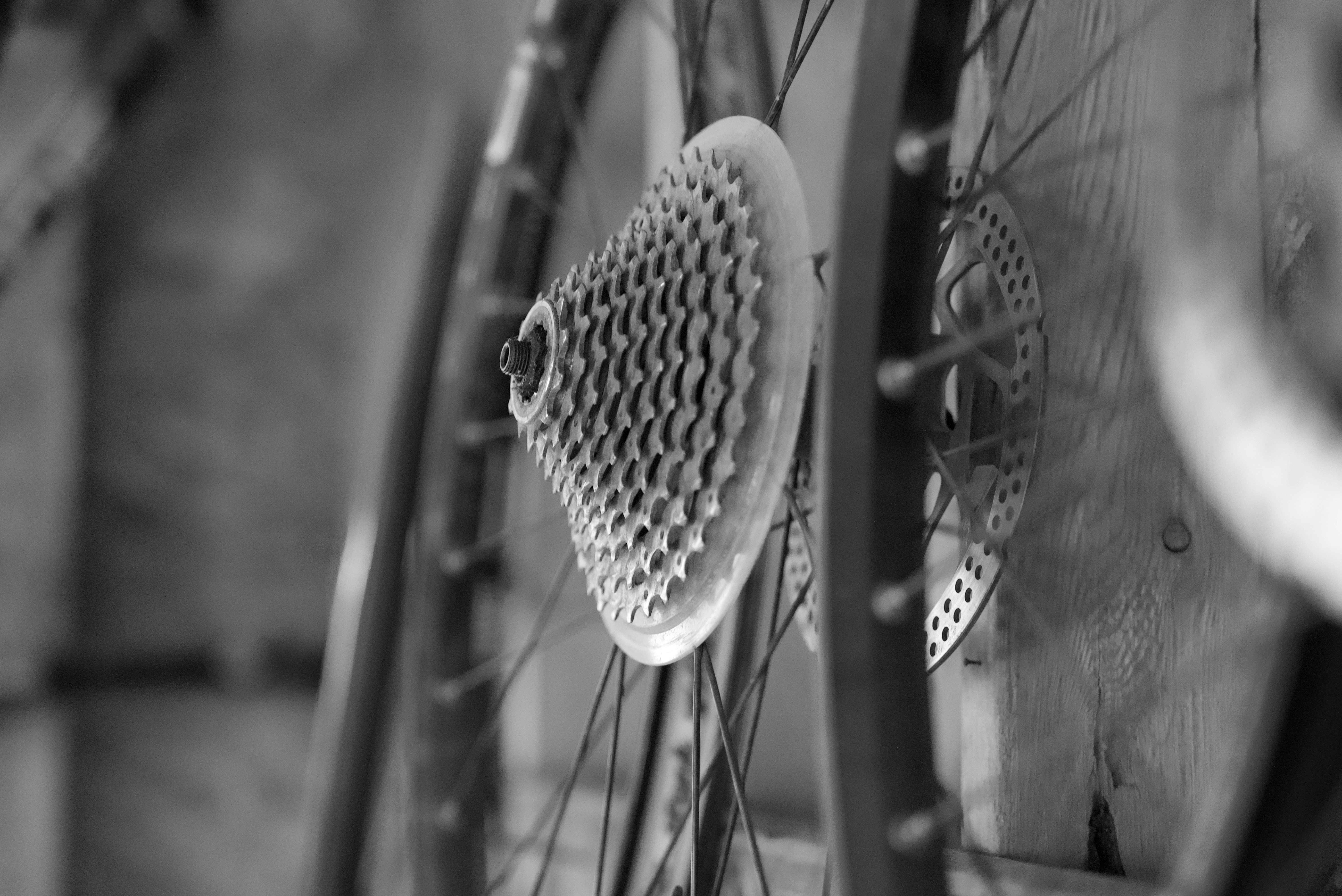 Close-up of a bicycle rear cassette with surrounding spokes and frame in monochrome; emphasis on metallic texture and mechanical detail.
