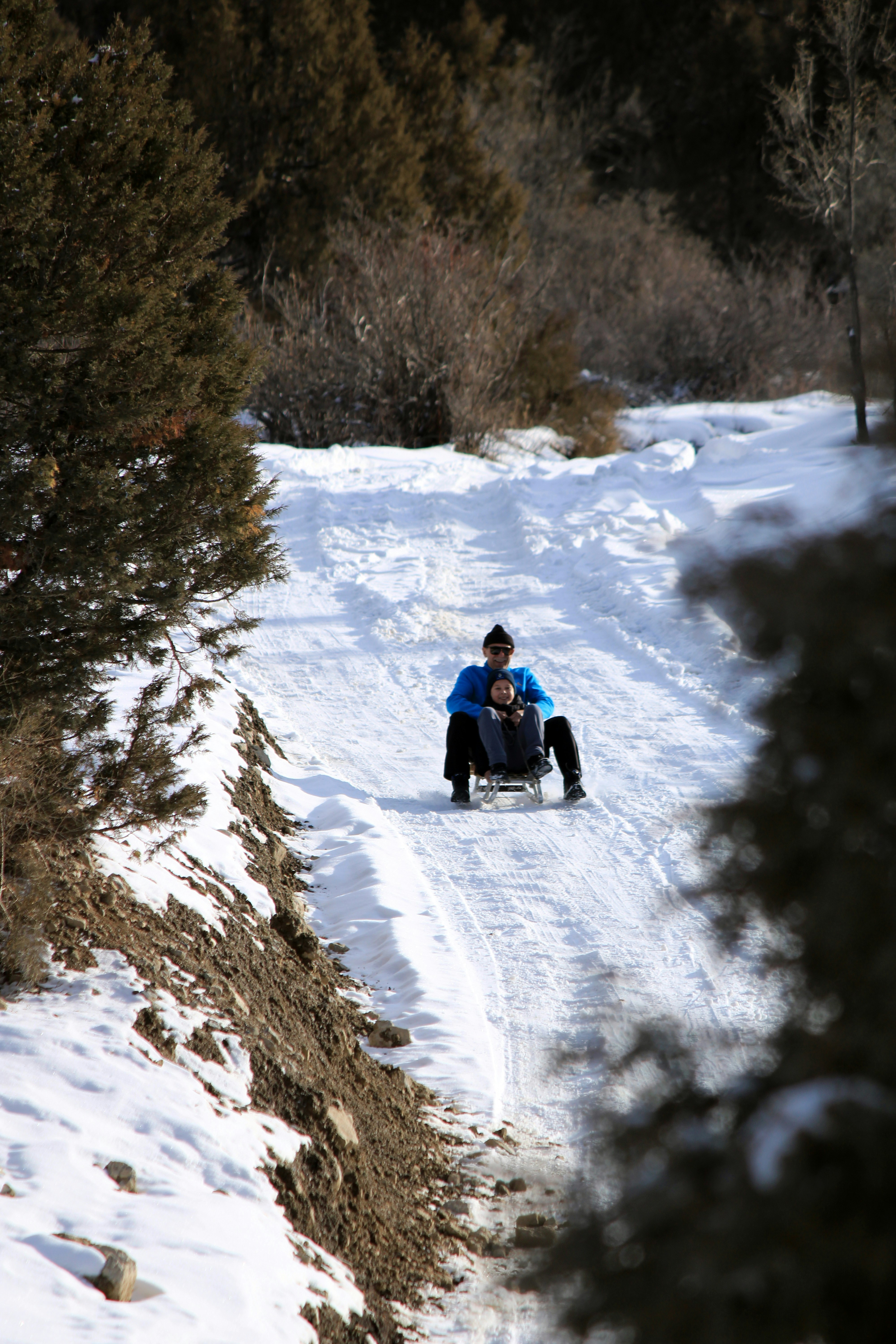 Snow-covered trail tunnels between evergreen trees as two people ride a sled down the slope; the scene emphasizes motion and winter serenity with a centered descent.