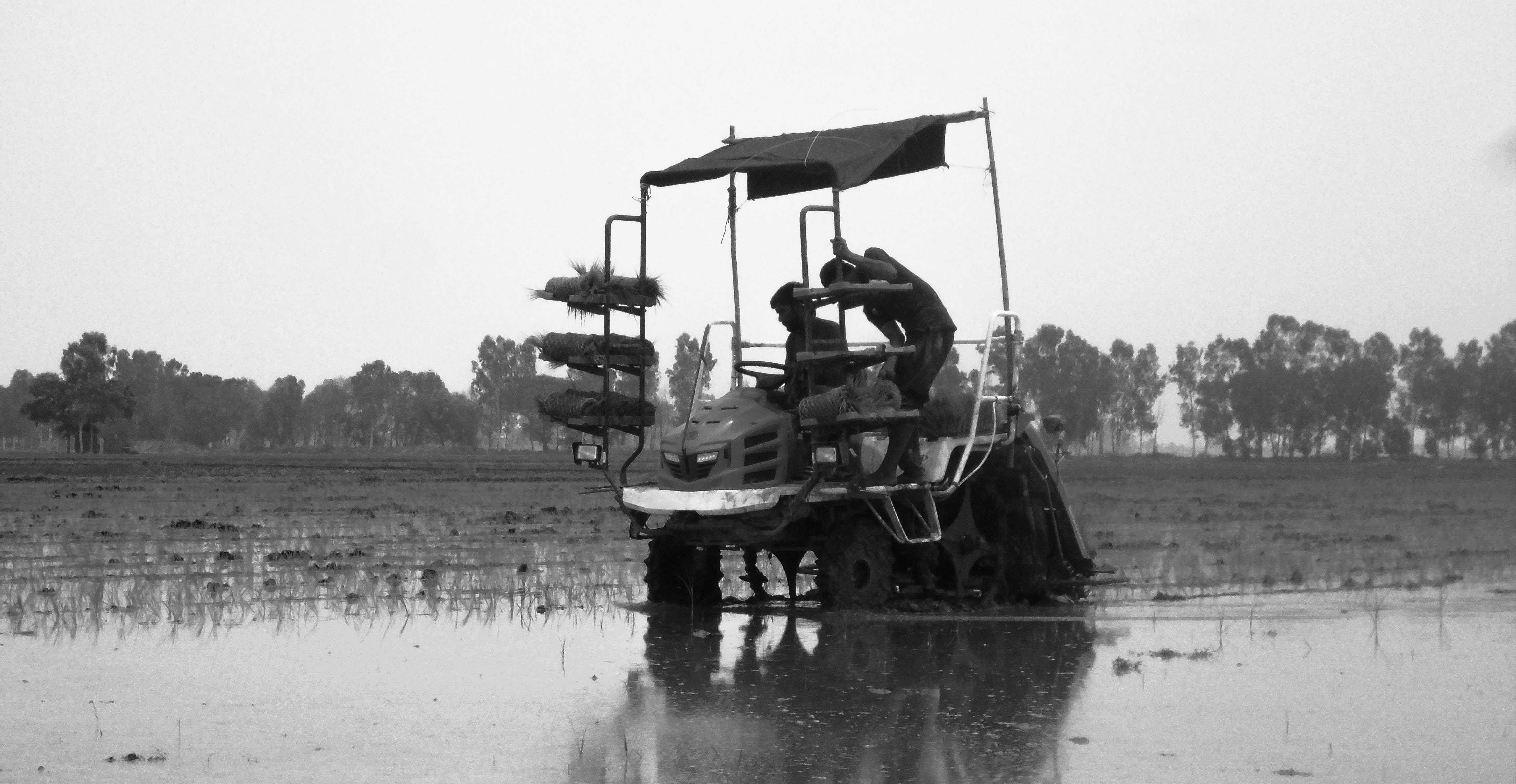 A Black and White picture of the workers and machinery working in the field.