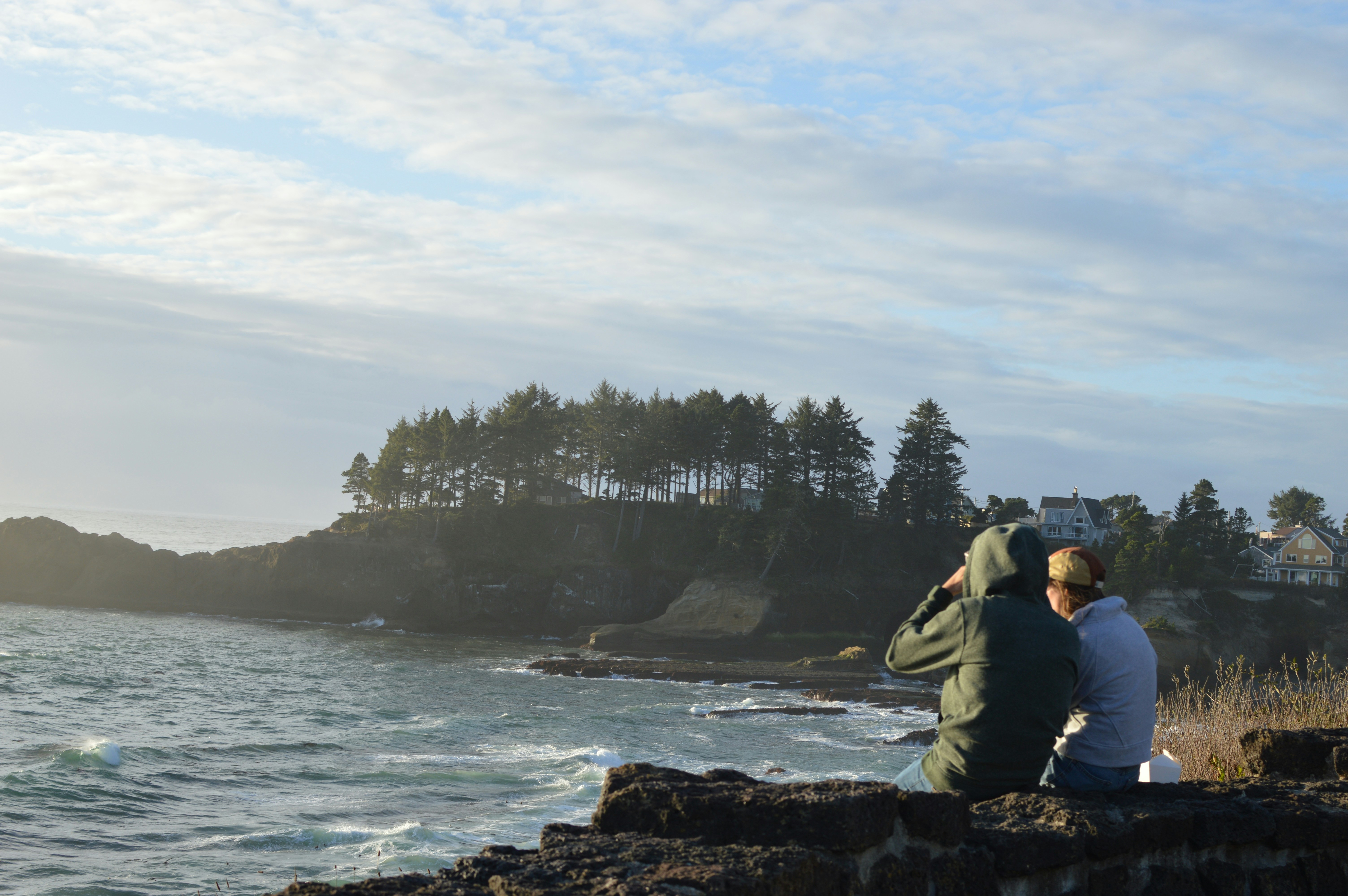Ridge Overlook: A Quiet Moment by the Sea