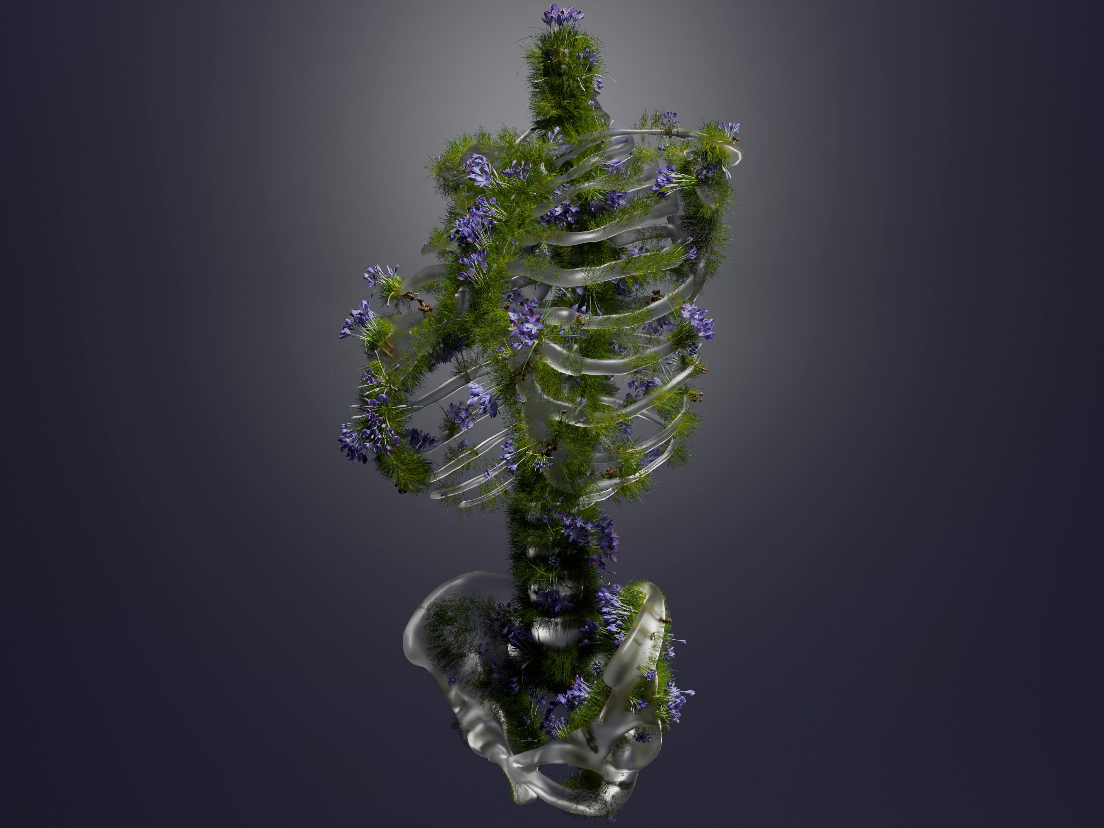 Translucent ribcage with moss and flowers - Free Photo on Unsplash