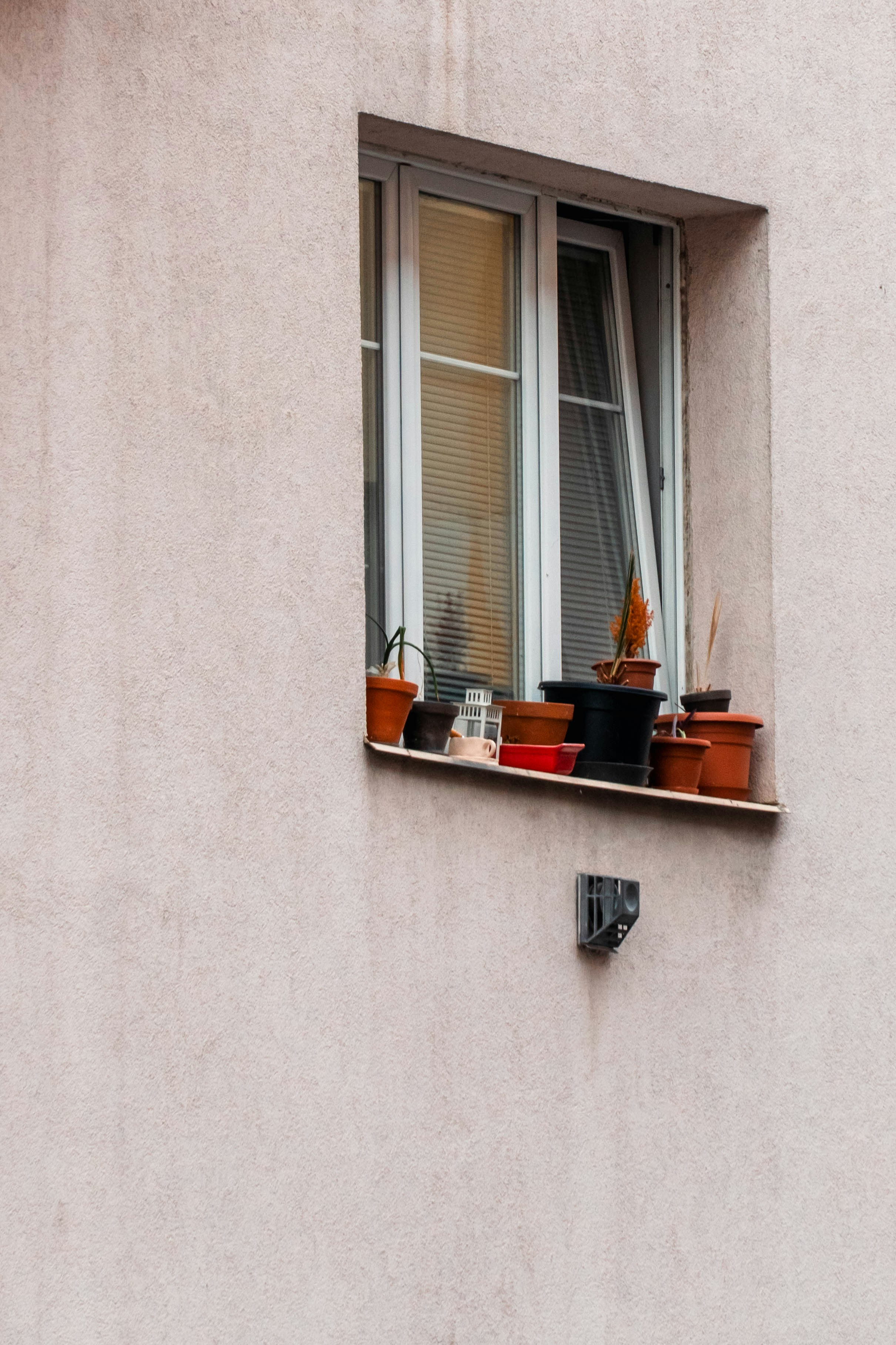 Windowsill Garden: A Quiet Balcony Scene in Soft Light