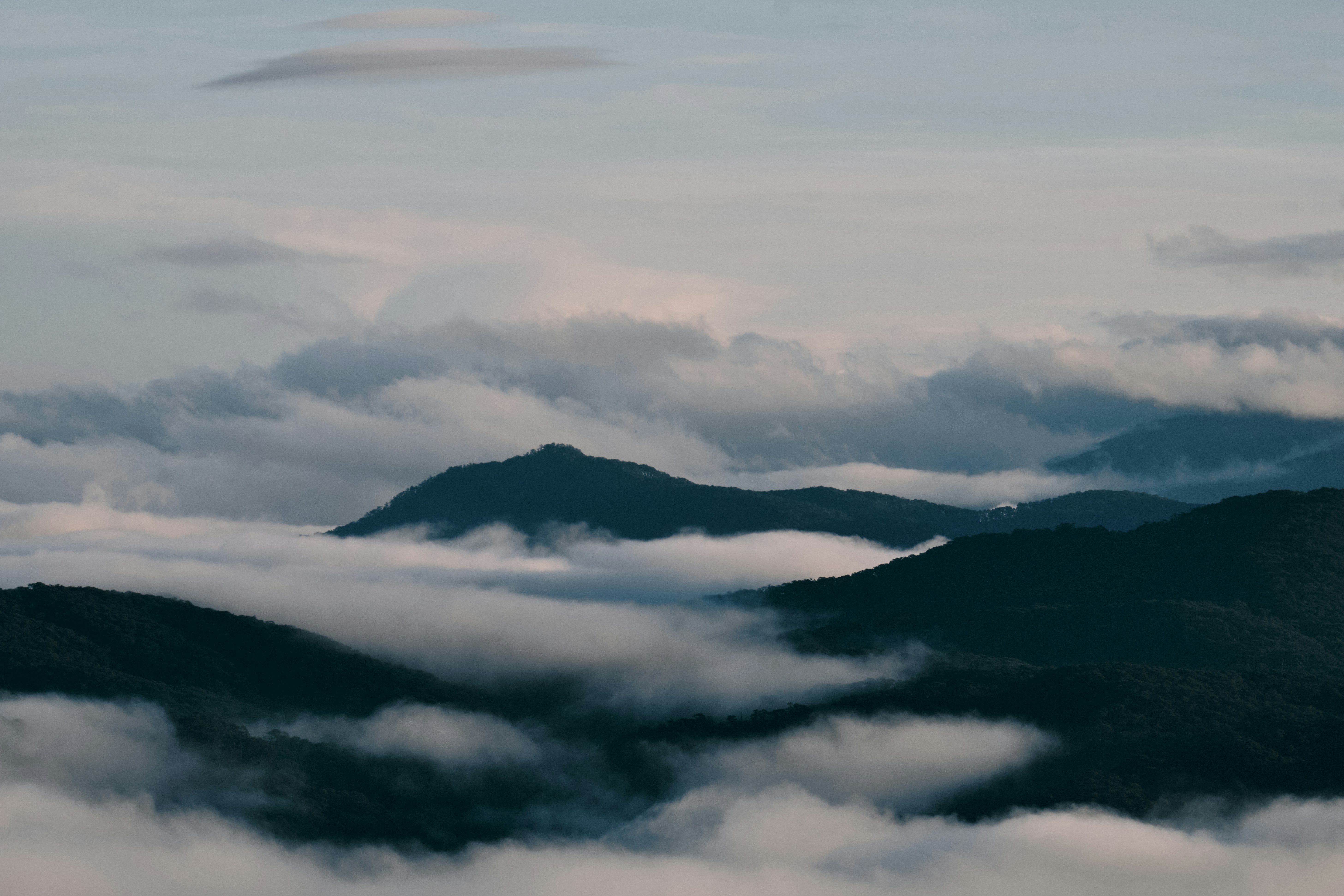 Mist-kissed Ridge: Quiet Horizons Above the Clouds