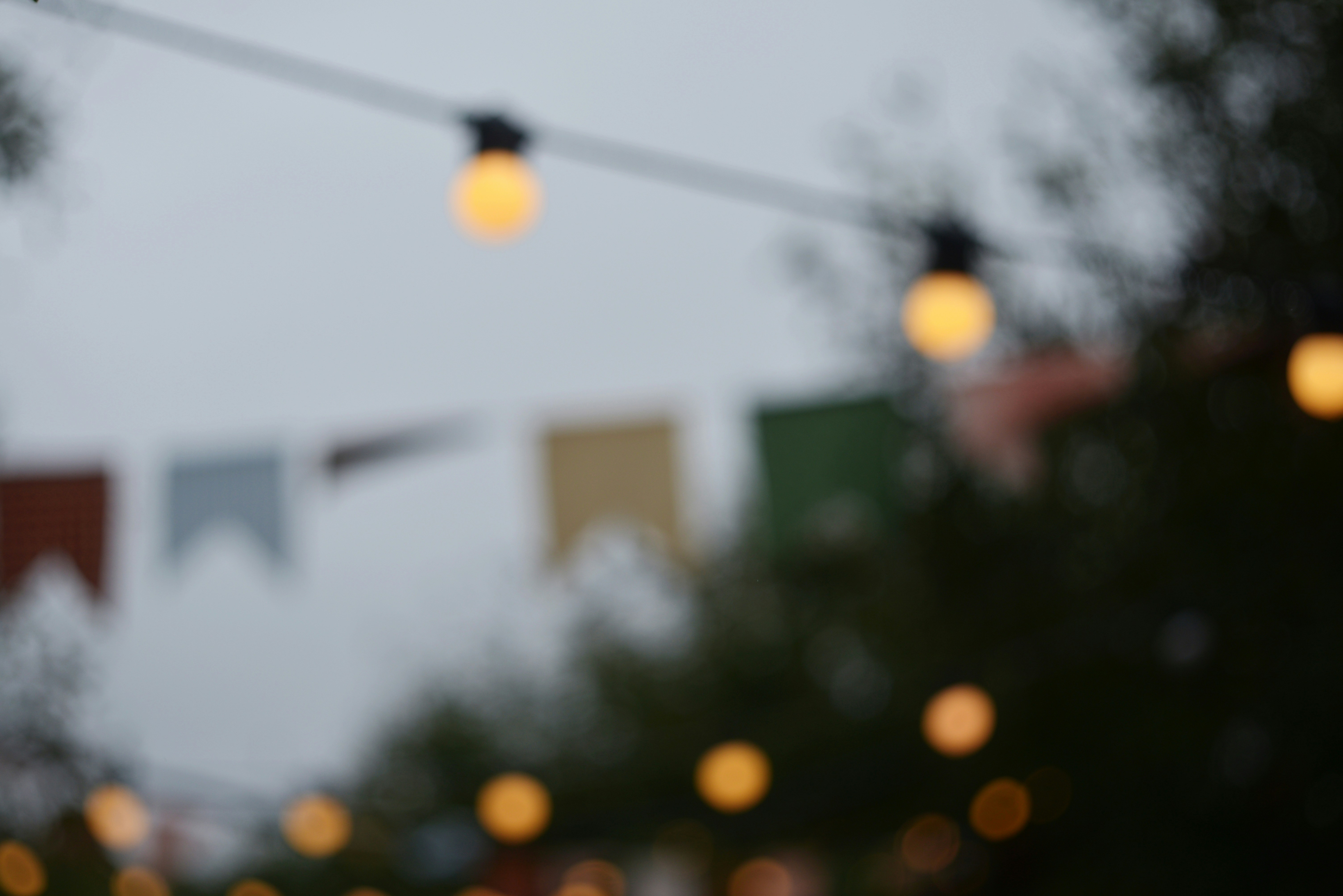 Soft Bokeh Lights Across a Blurred Night Garden