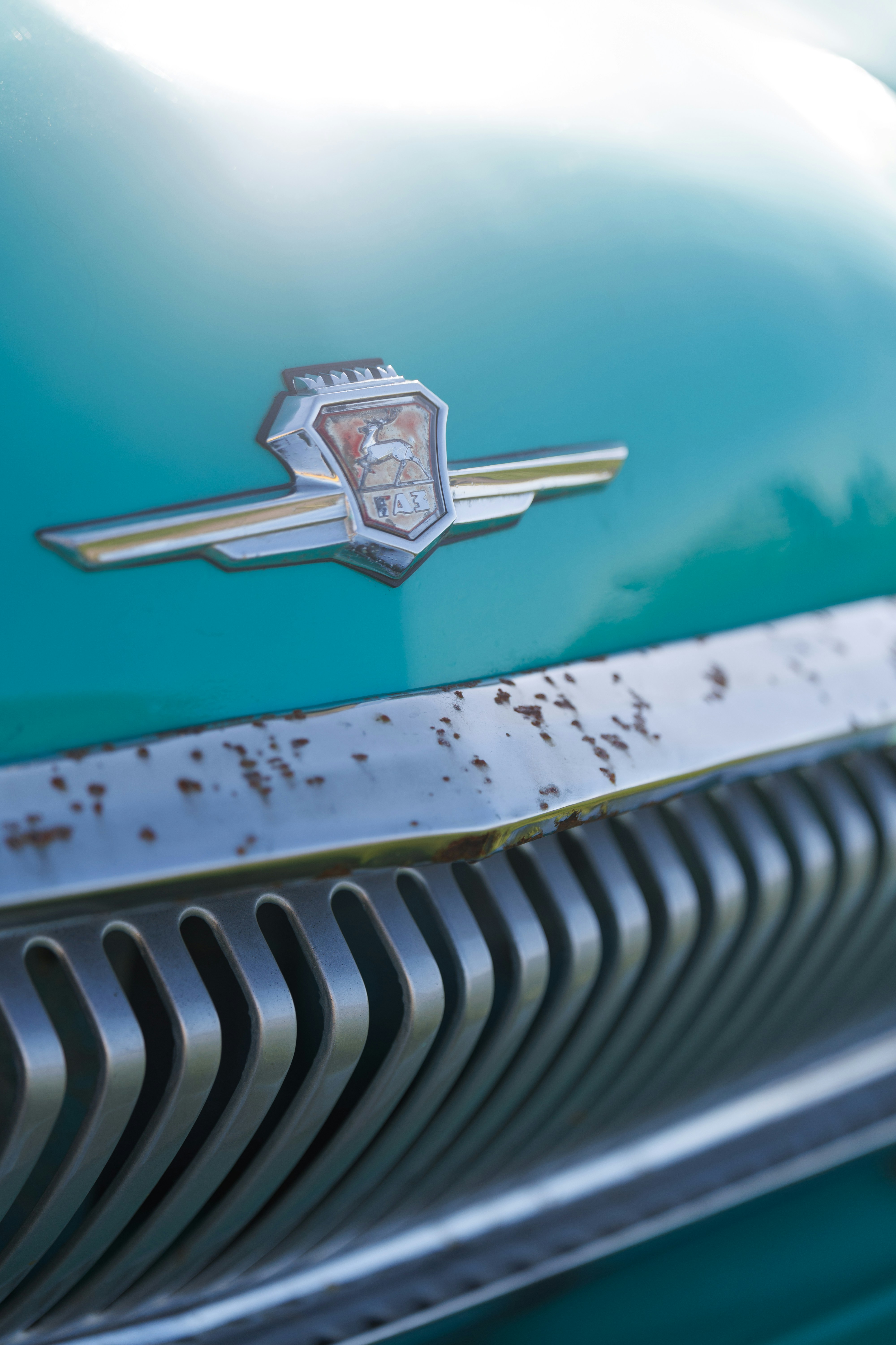 Teal Crest: A Rusted Grille and Vintage Emblem