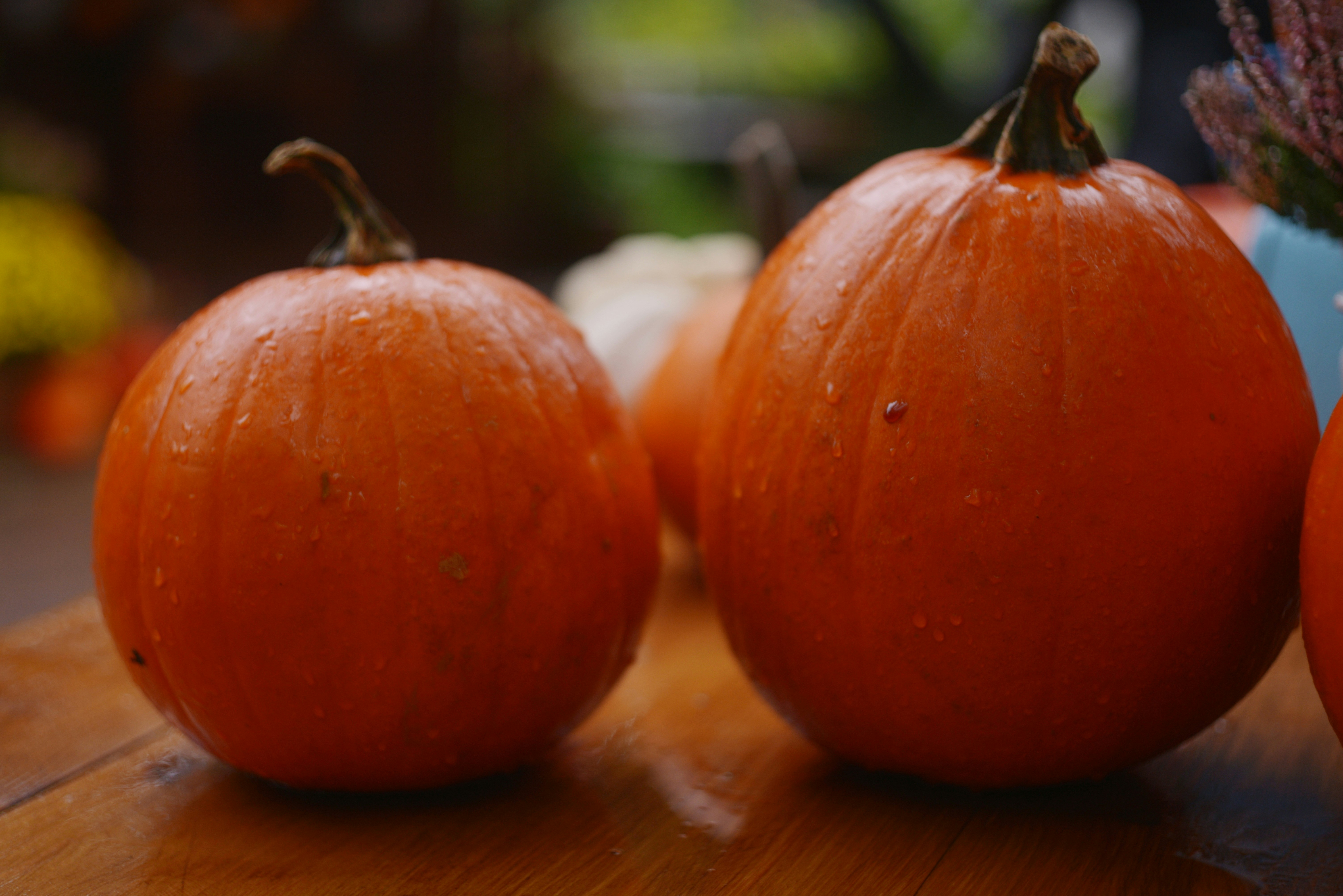Two Pumpkin Still Lifes On a Wooden Table