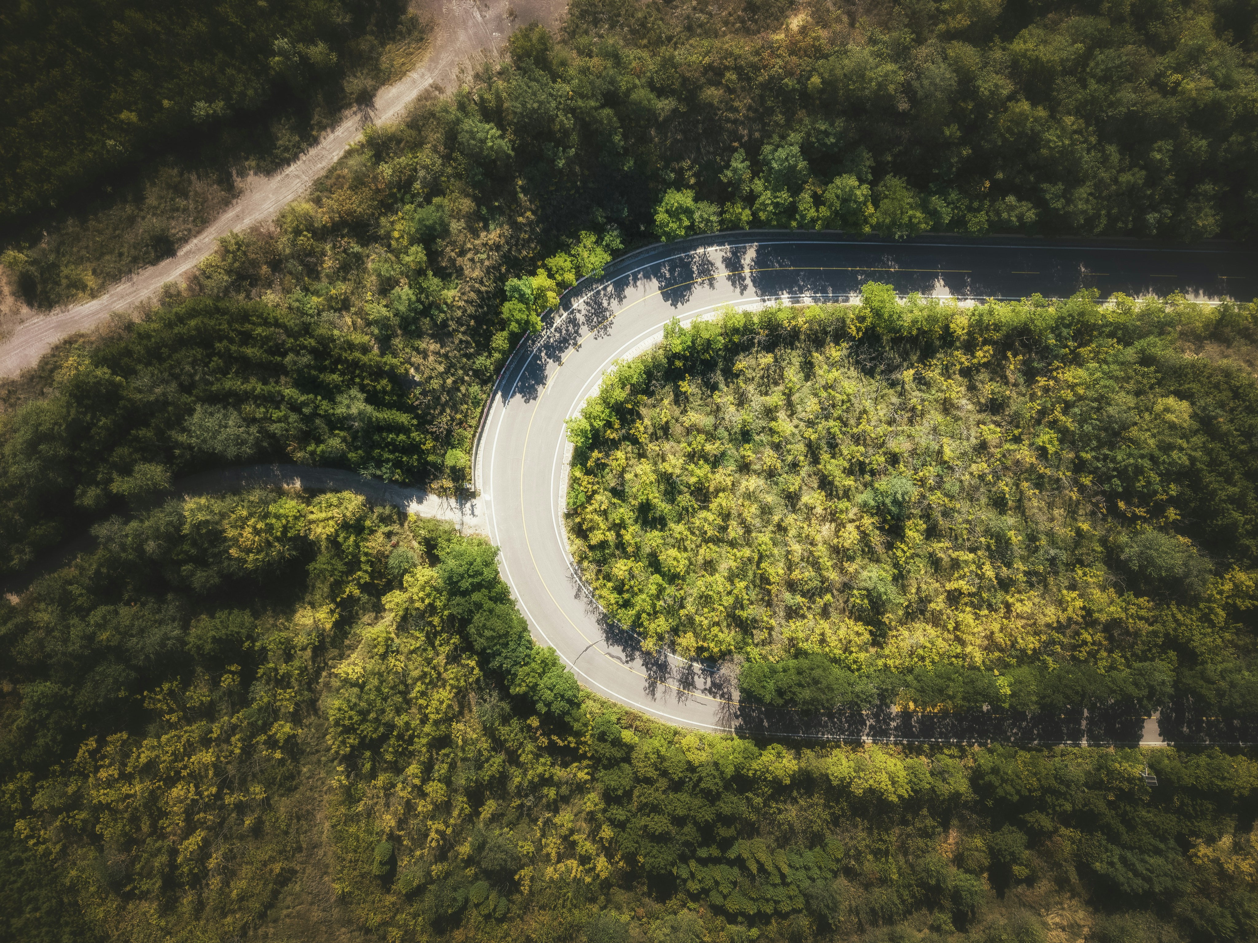Aerial Curve: Winding Road Cuts Through Emerald Ridge