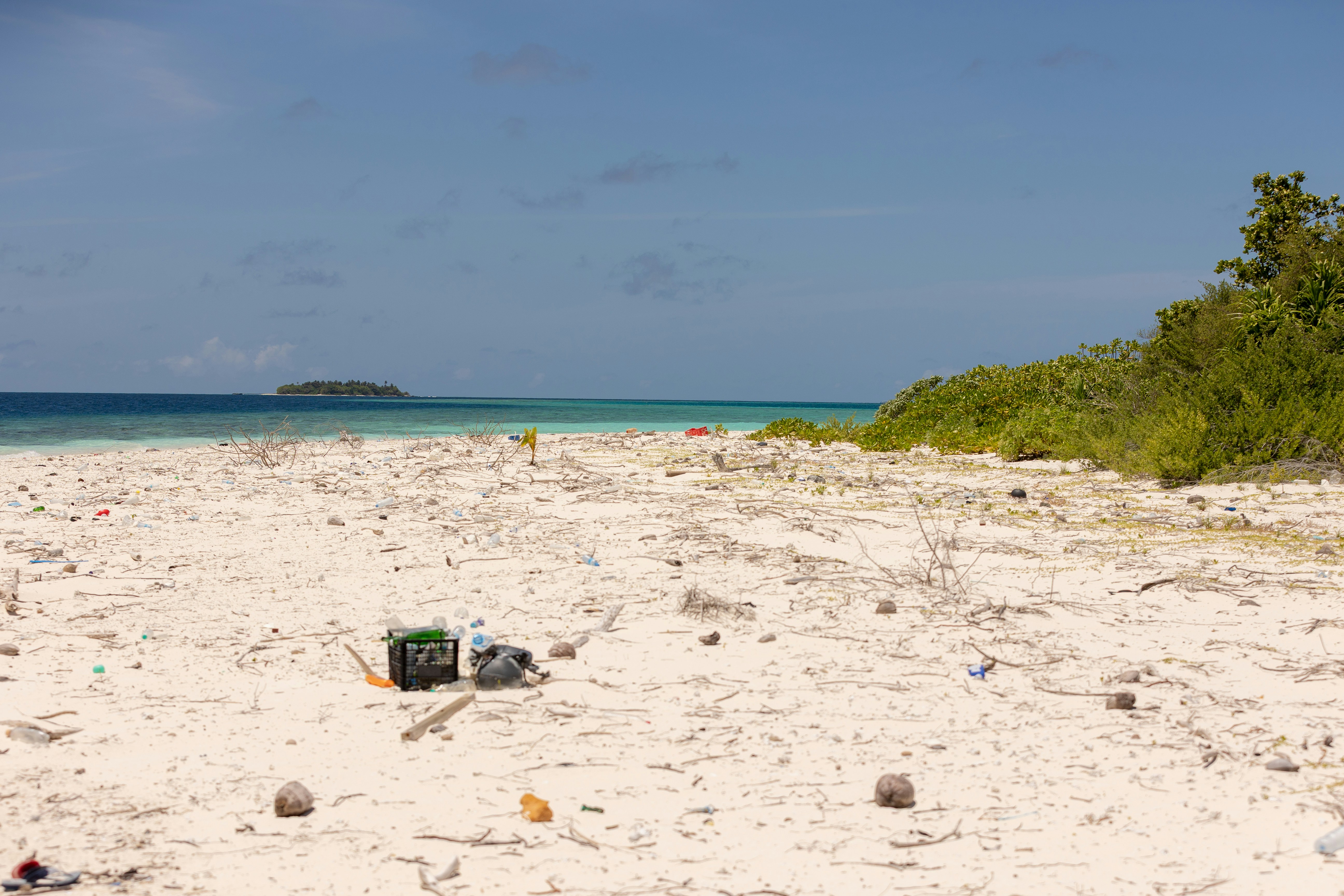 Deserted White-Sand Beach with Sparse Debris and Distant Greenery
