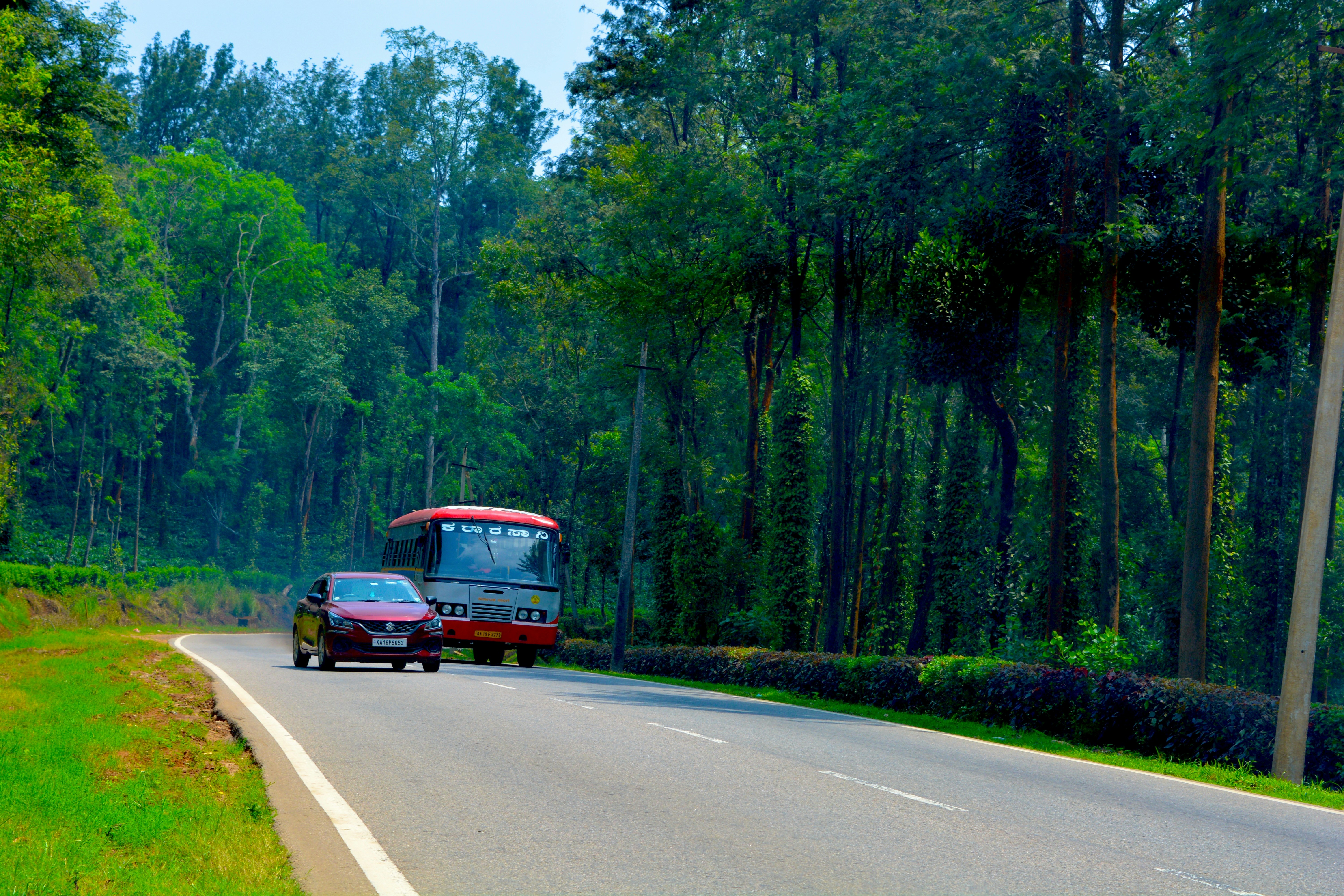 Two-vehicle moment on a sunlit country road