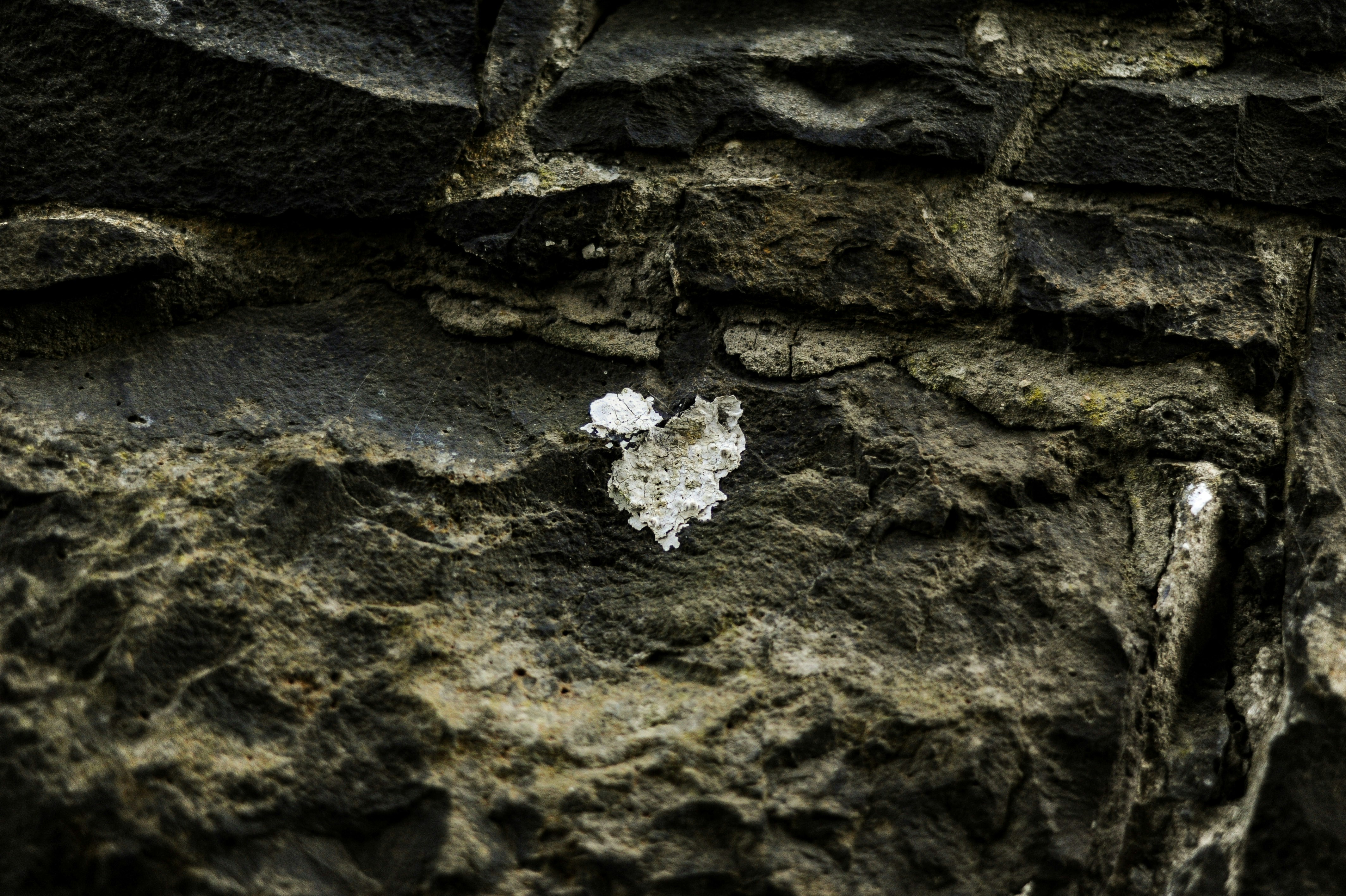 Weathered stone wall with a pale lichen bloom at center