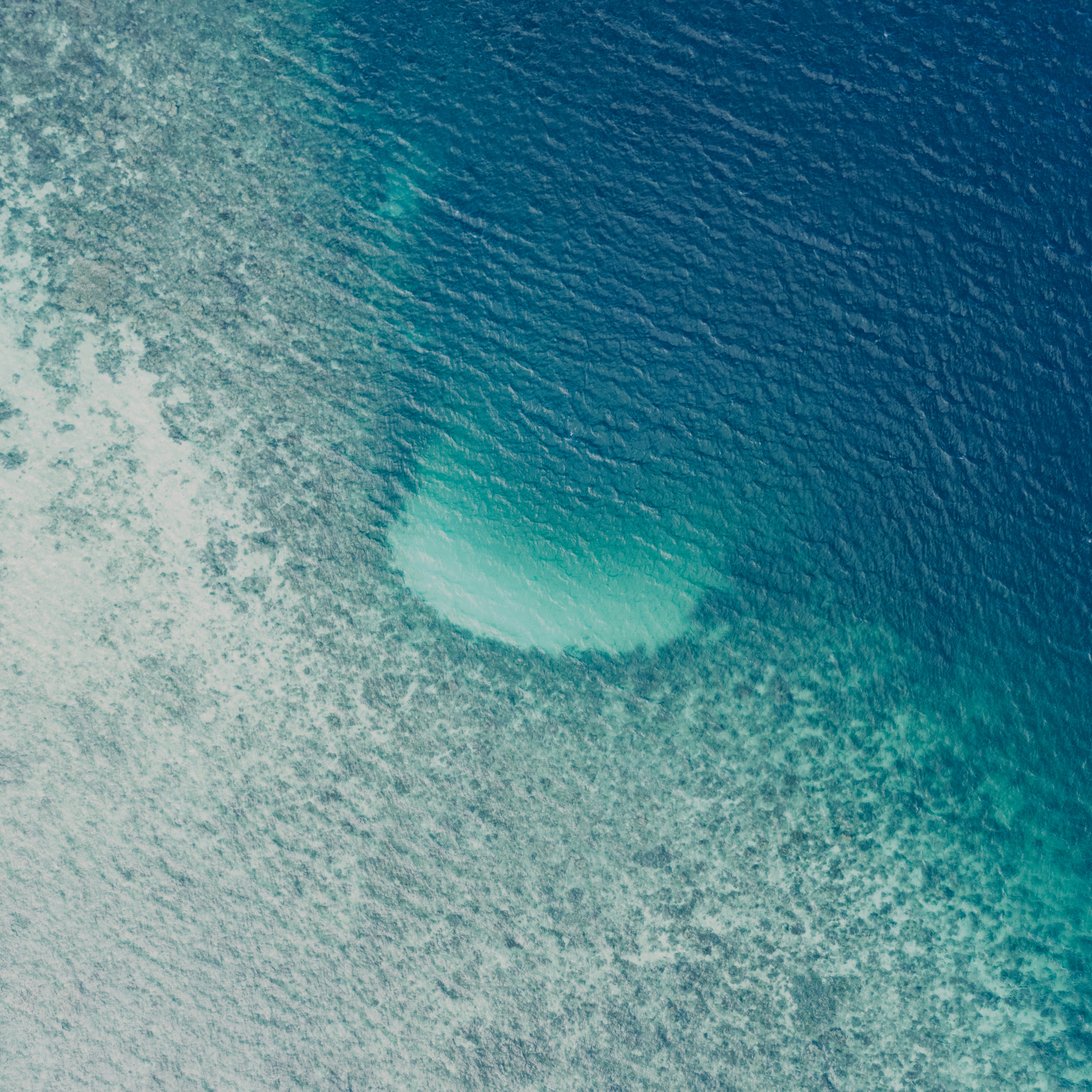 Bright turquoise reef bowl forms a soft crescent against deep blue, with surrounding foamy wake; emphasizes shallow-to-deep water gradient and natural color transition.