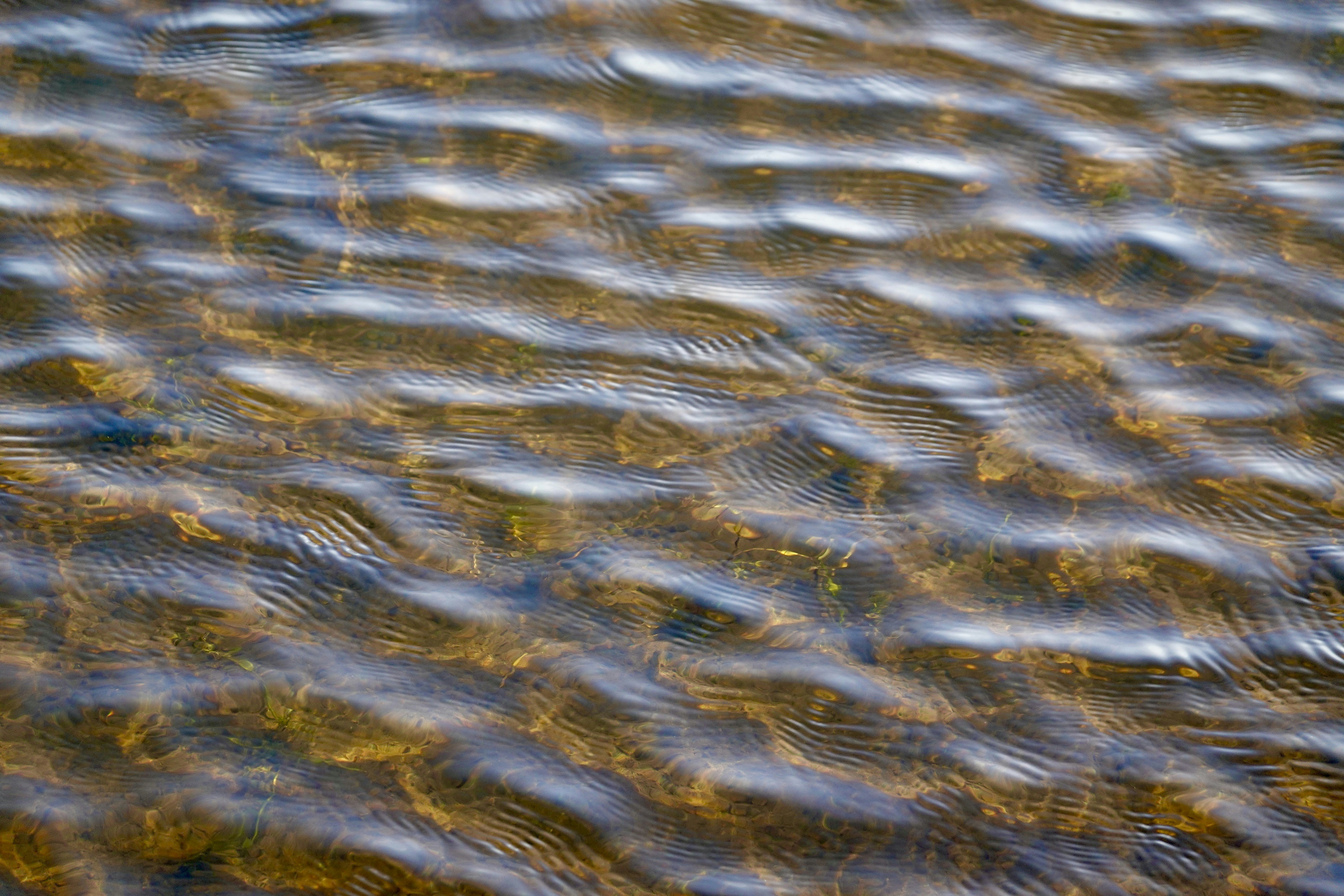 Golden Ripples: Light-Dappled Water Textures