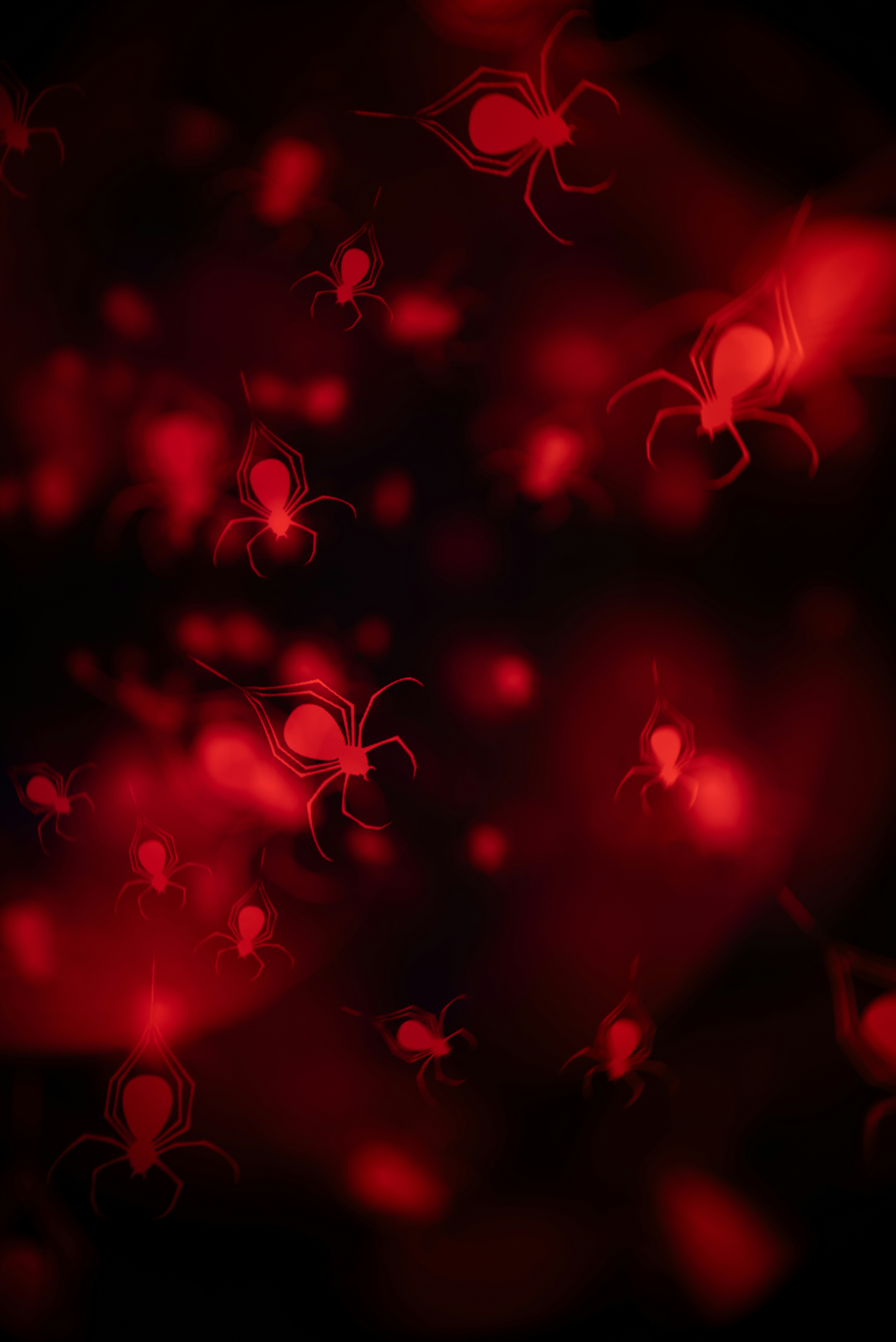 Crimson Lanterns: Spidery Echoes in a Velvet Night