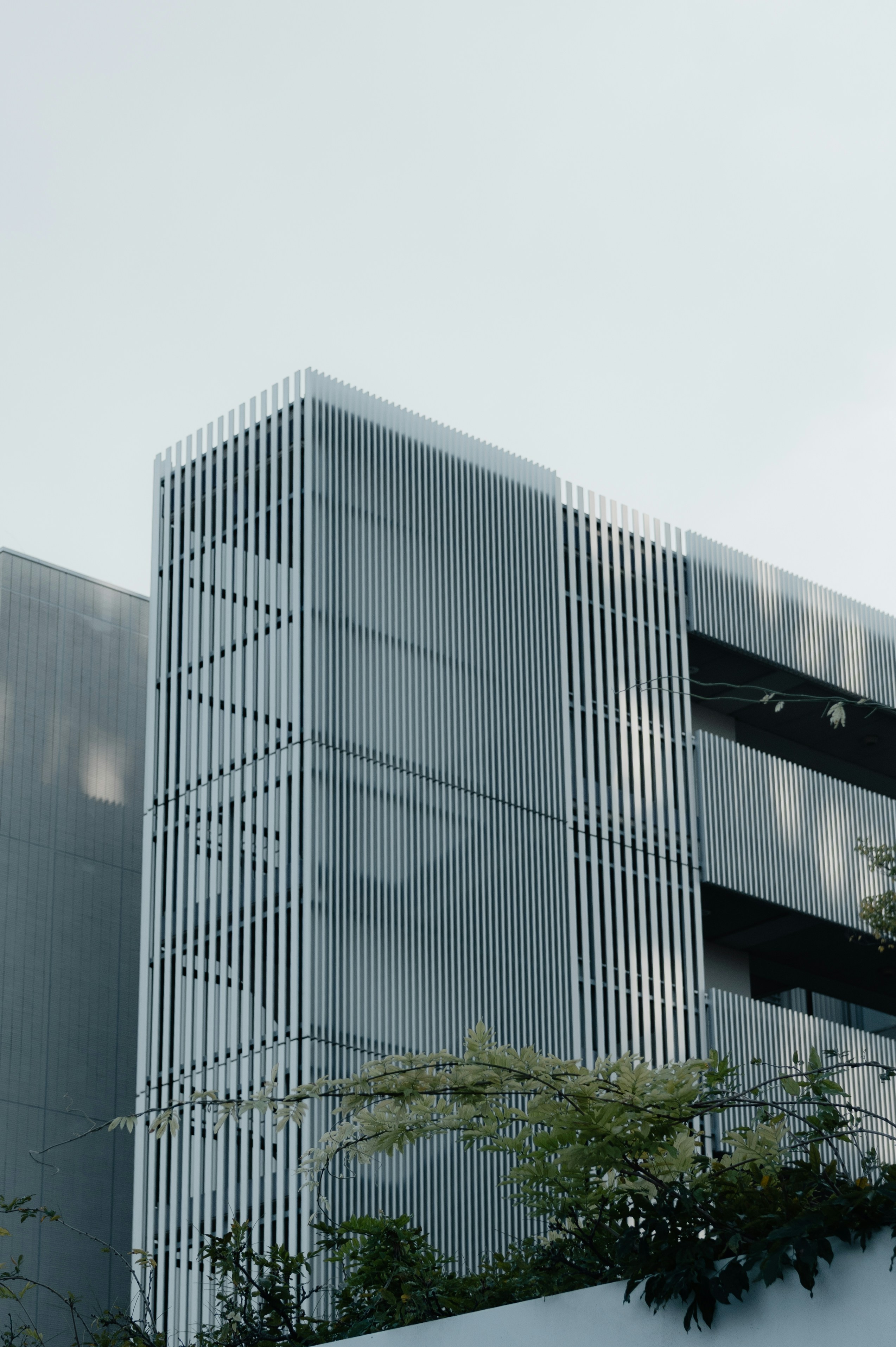 Vertical Lattices: A Concrete Portrait of Shadows and Light