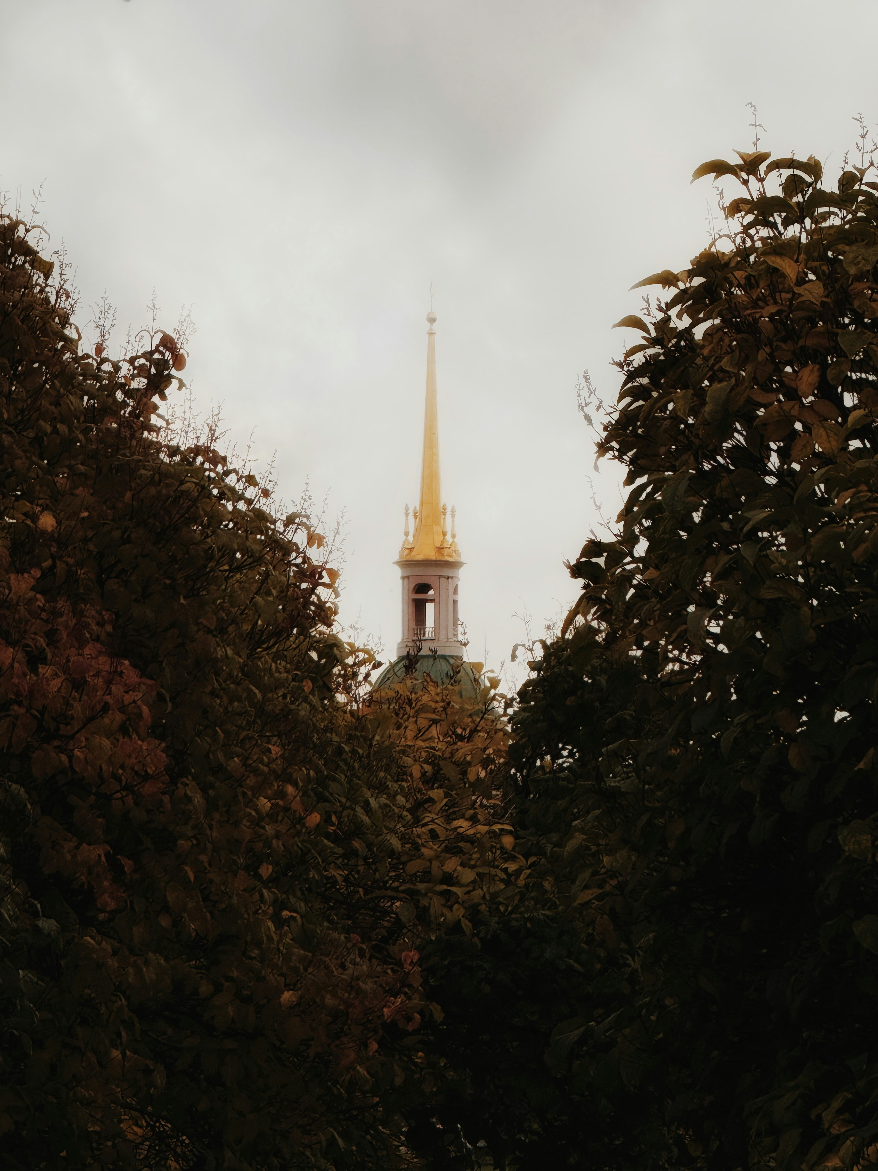 Tall church spire peeks above dense, autumnal trees against a muted sky, creating a vertical focal moment.
