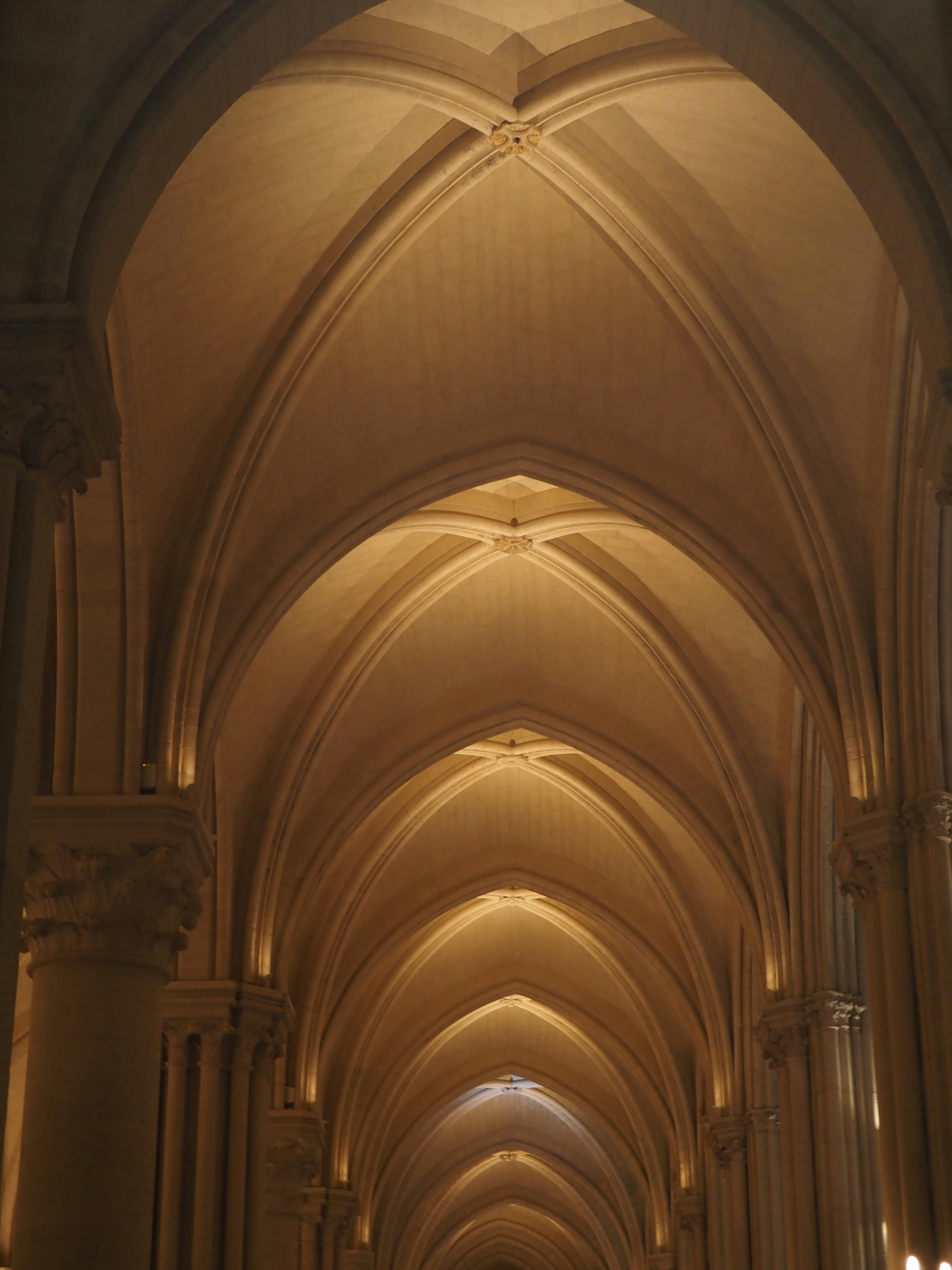 Vaulted Cathedral Aisle: Echoes of Light in Carved Arches