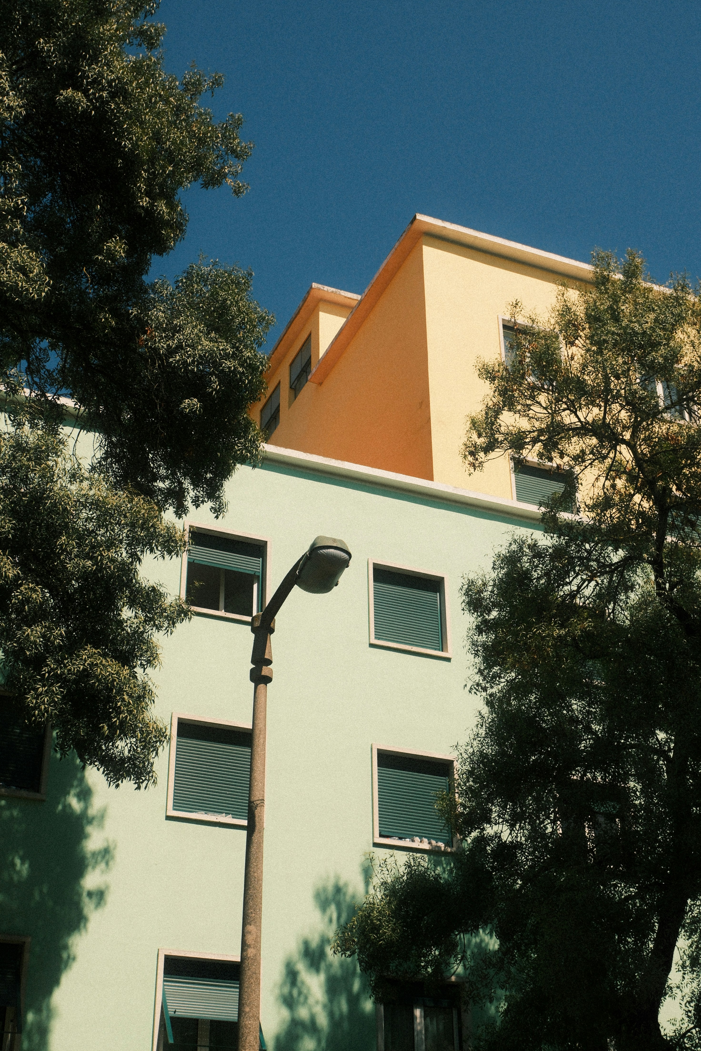 Apartment Tower in Warm Sunlight with Shaded Trees
