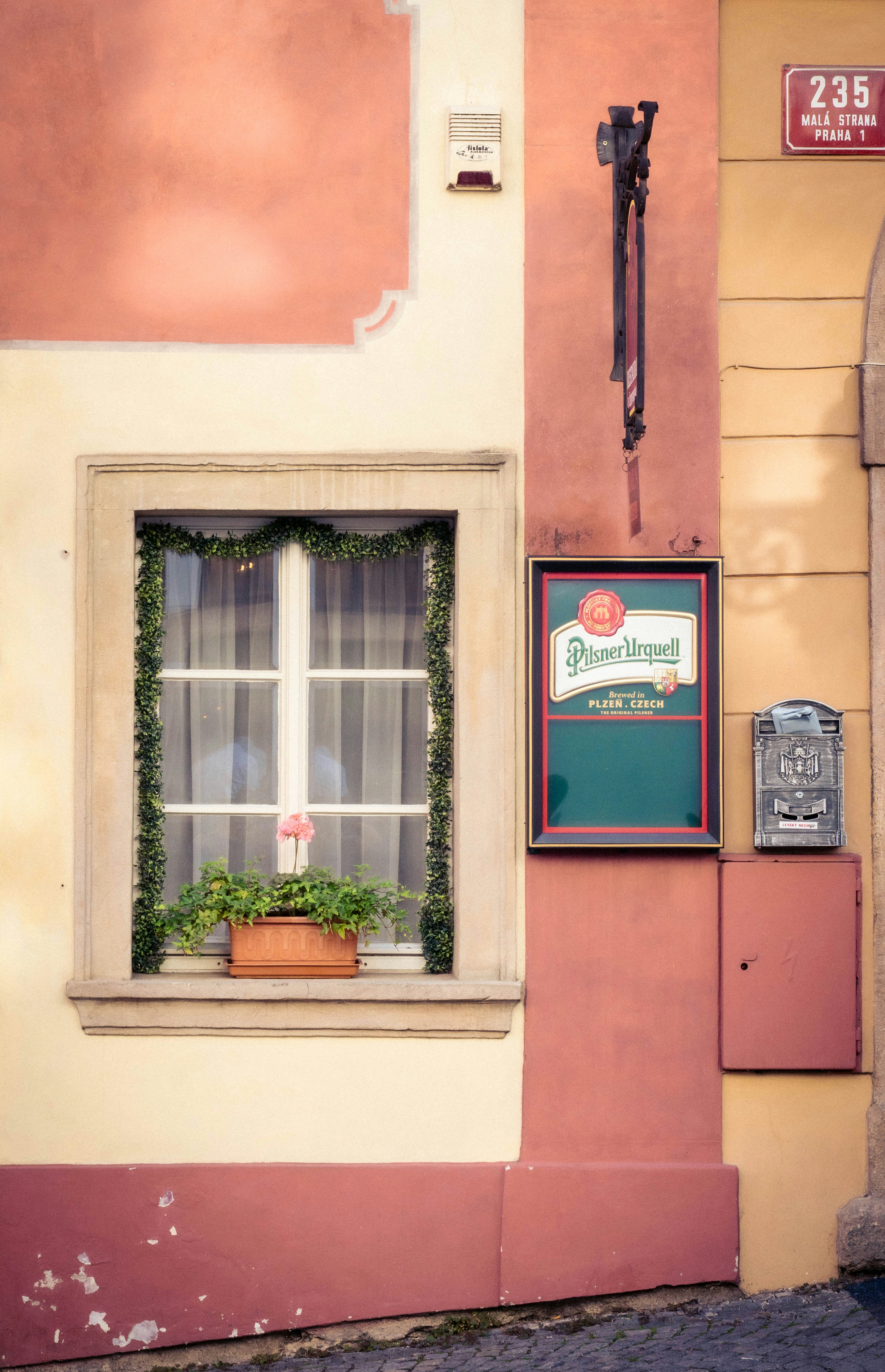Pastel Facade Narrative: A Window, a Plant, and a Distant Sign