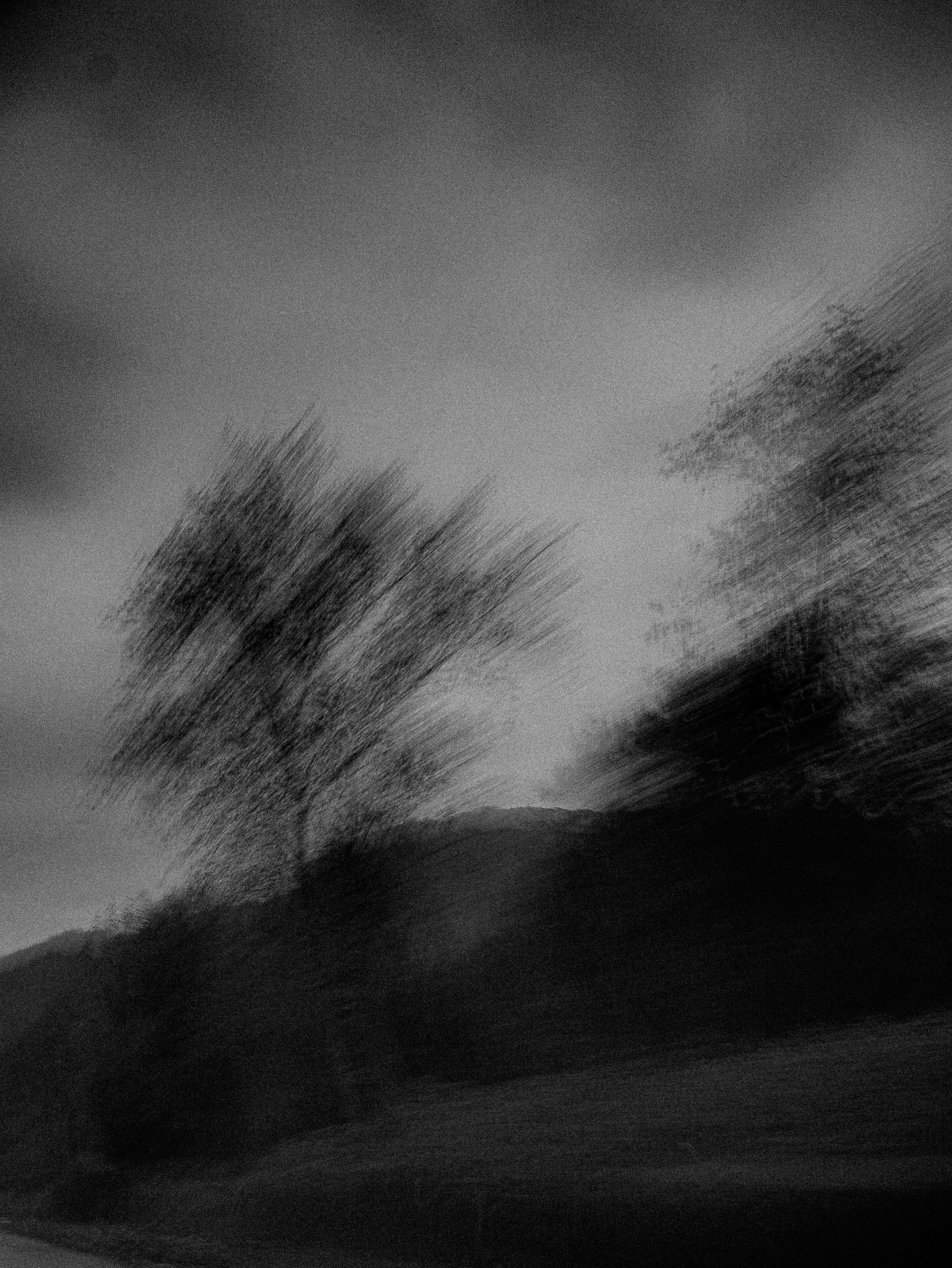 Monochrome landscape with blurred trees and hillside, impressionistic motion blur emphasizing texture and atmosphere.