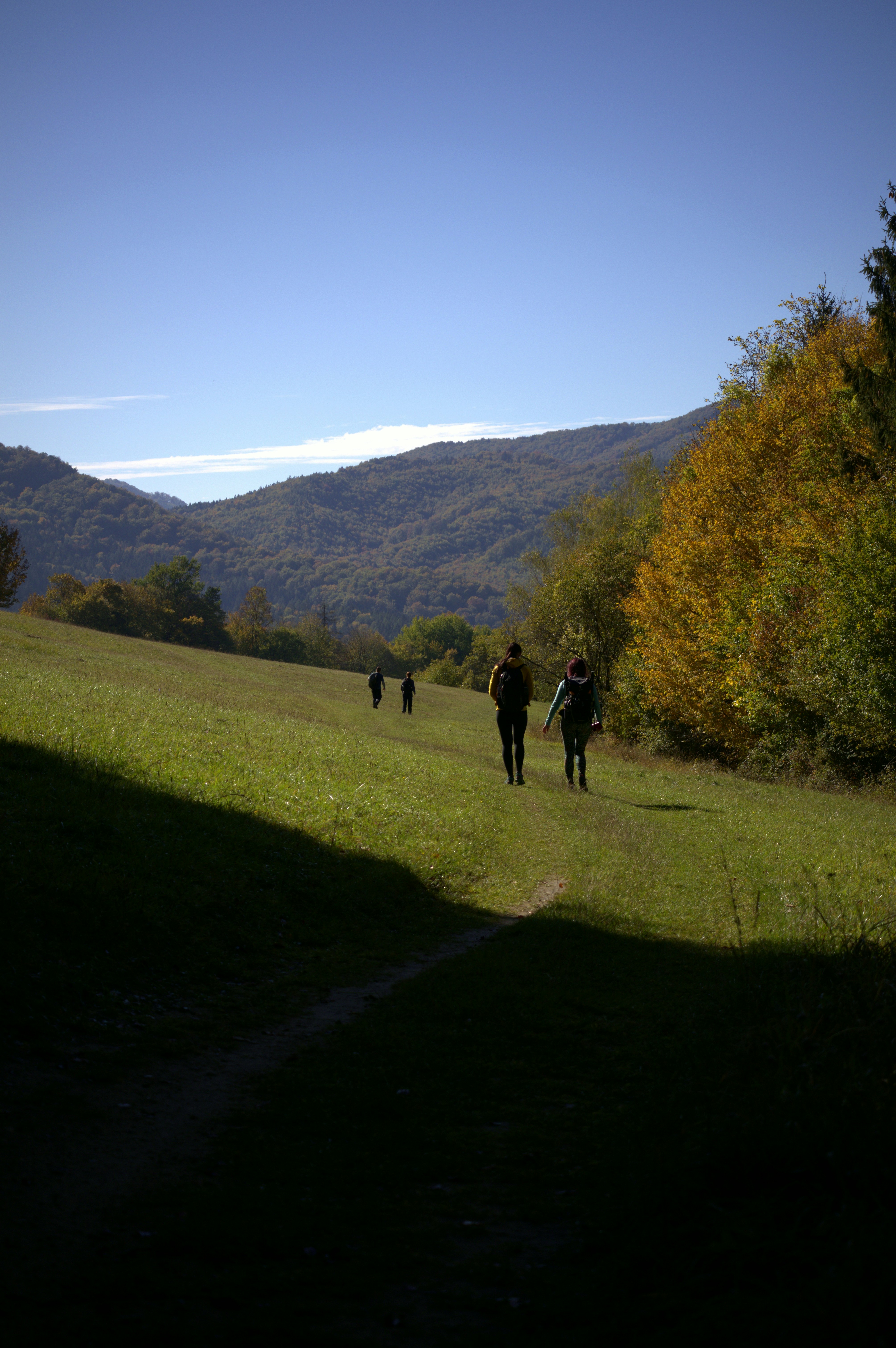 Sunlit hikers walk along a grassy ridge flanked by autumn trees under a clear blue sky. A distant mountain range frames the scene.