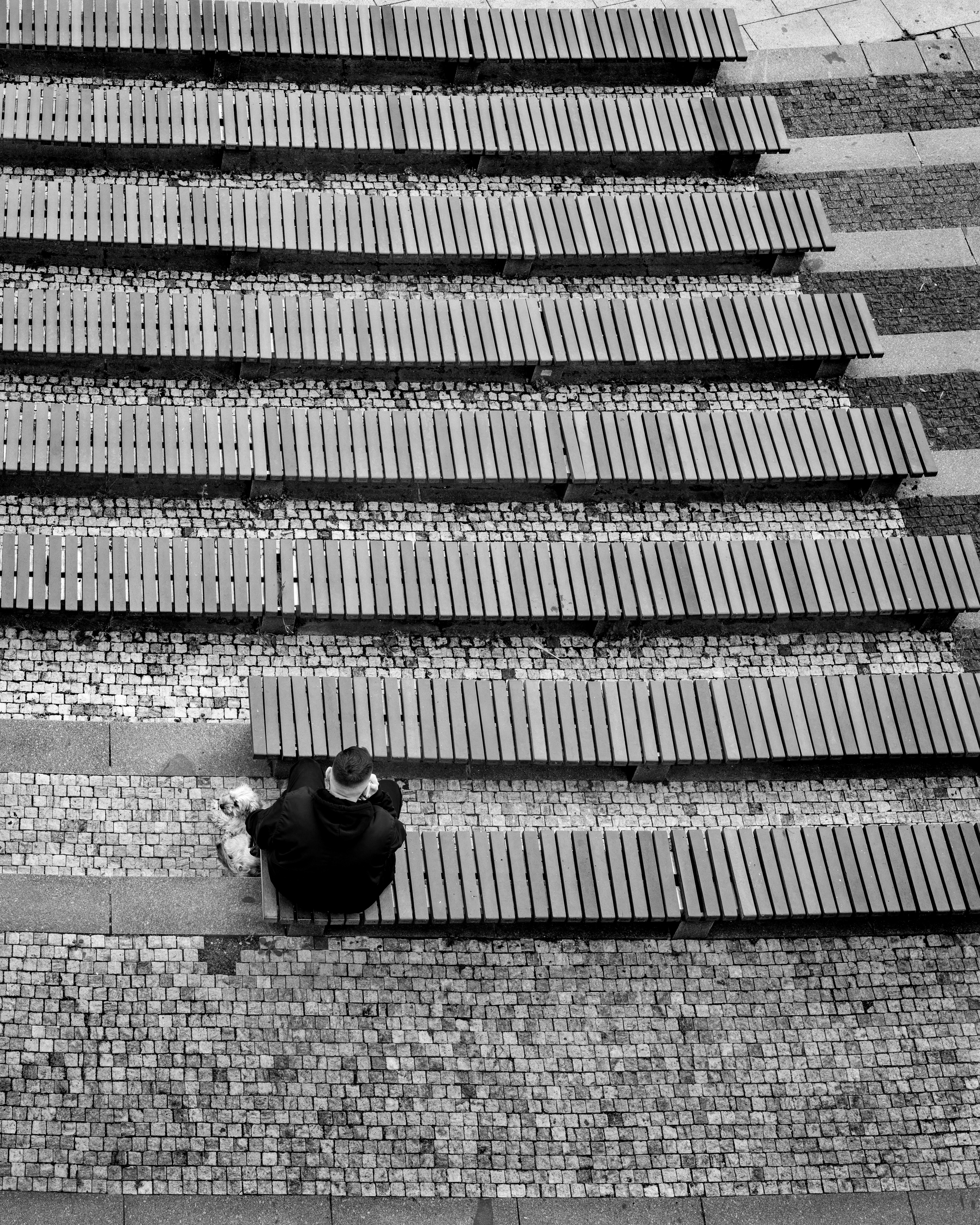 Steps of Solitude: A Top-Down Moment on Wooden Rises