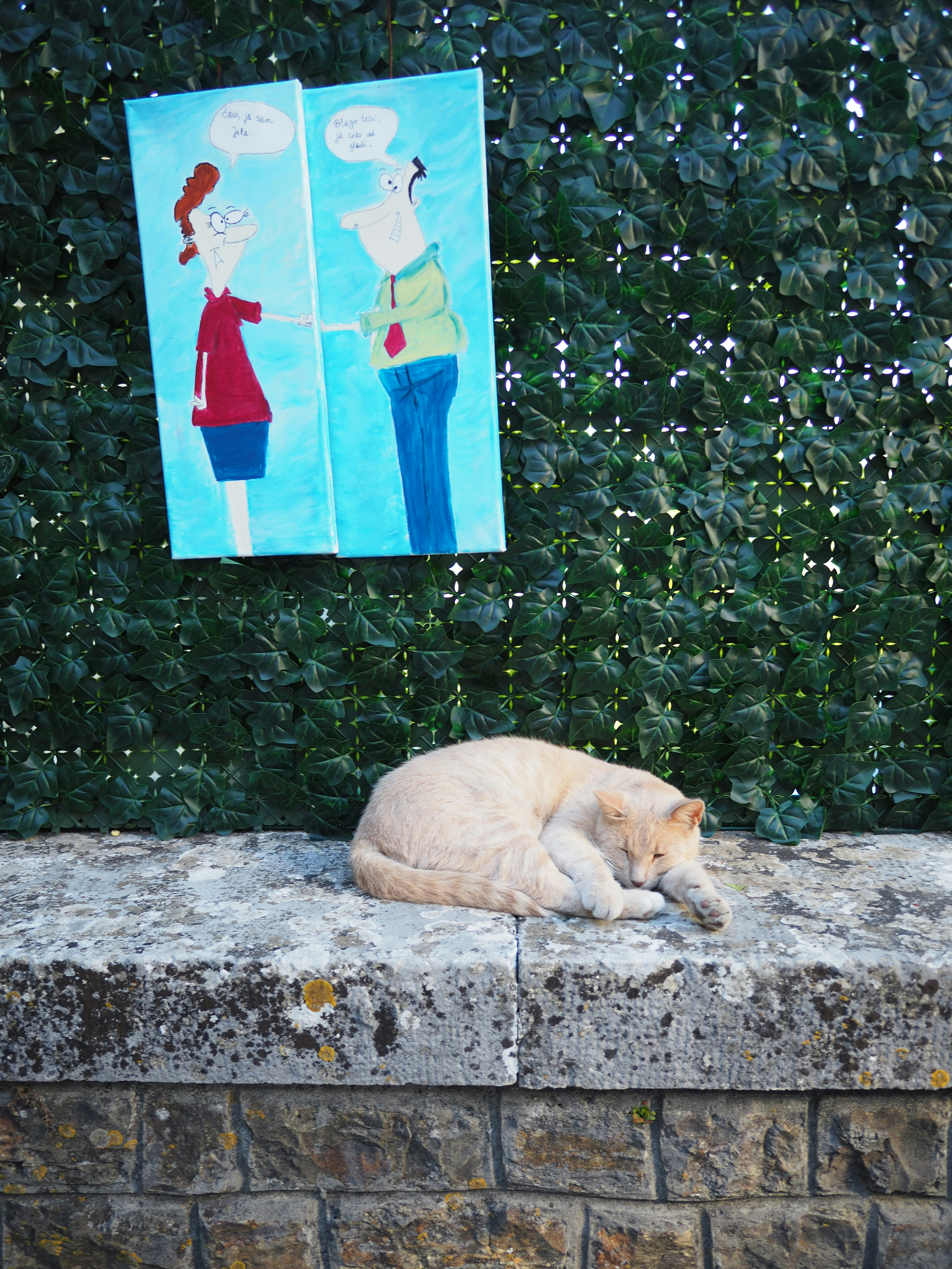 Sunlit Cat on a Concrete Stage Under a Painted Cloud