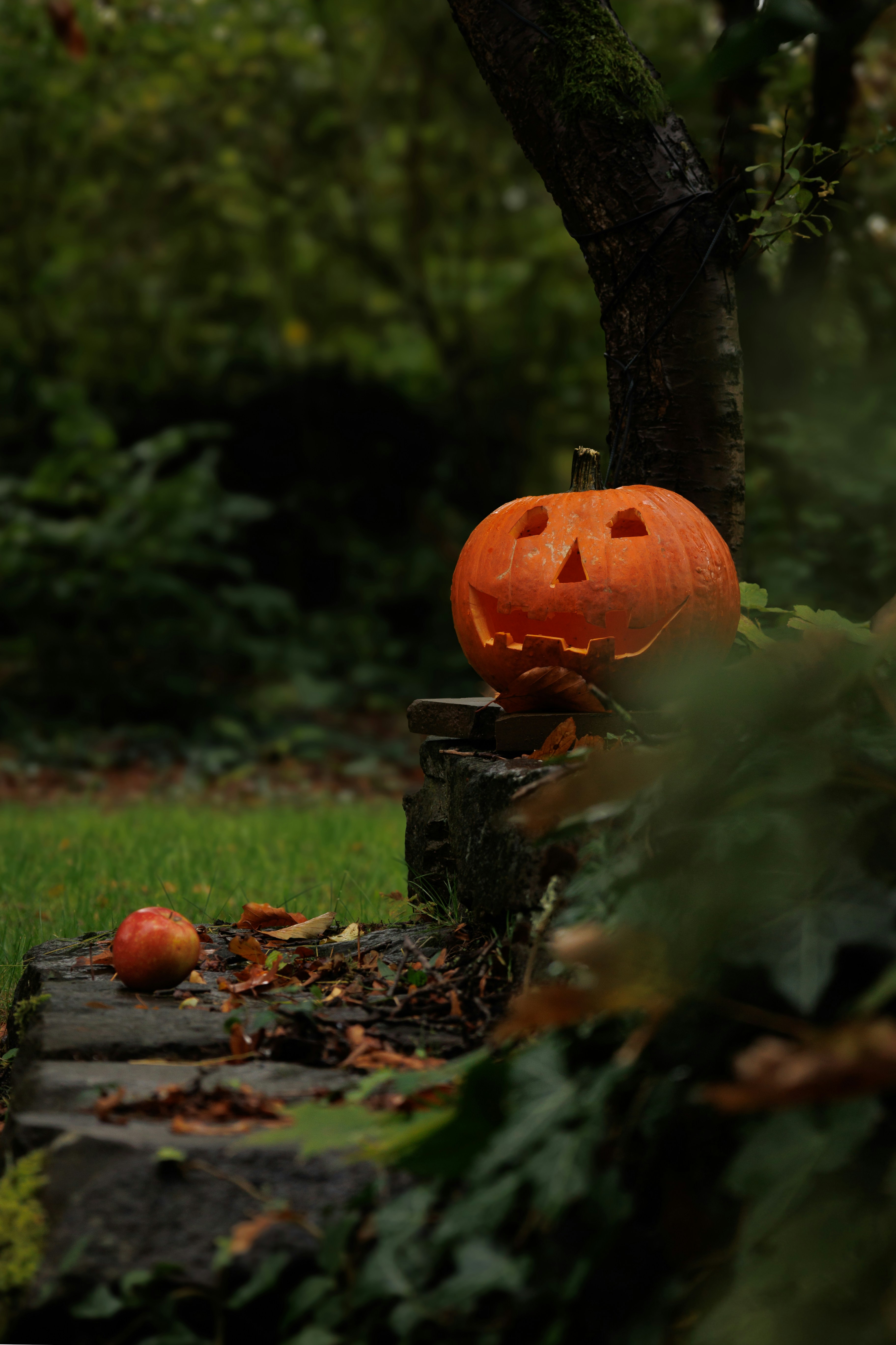Pumpkin Portrait on a Mossy Step Amid Autumn Shade