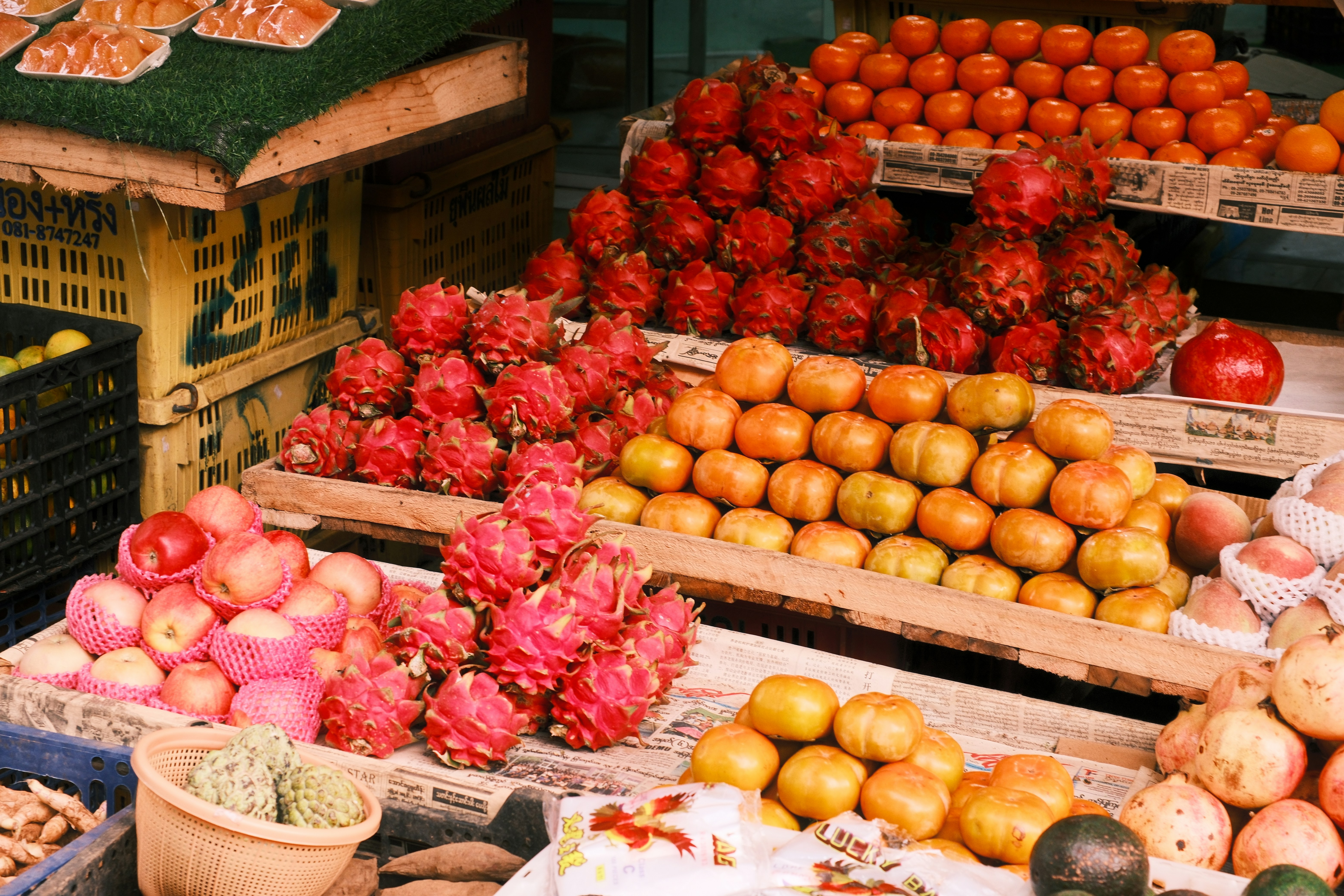 Dragonfruit Rows, Market Stacks: A Colorful Orchard of Citrus and Fruit