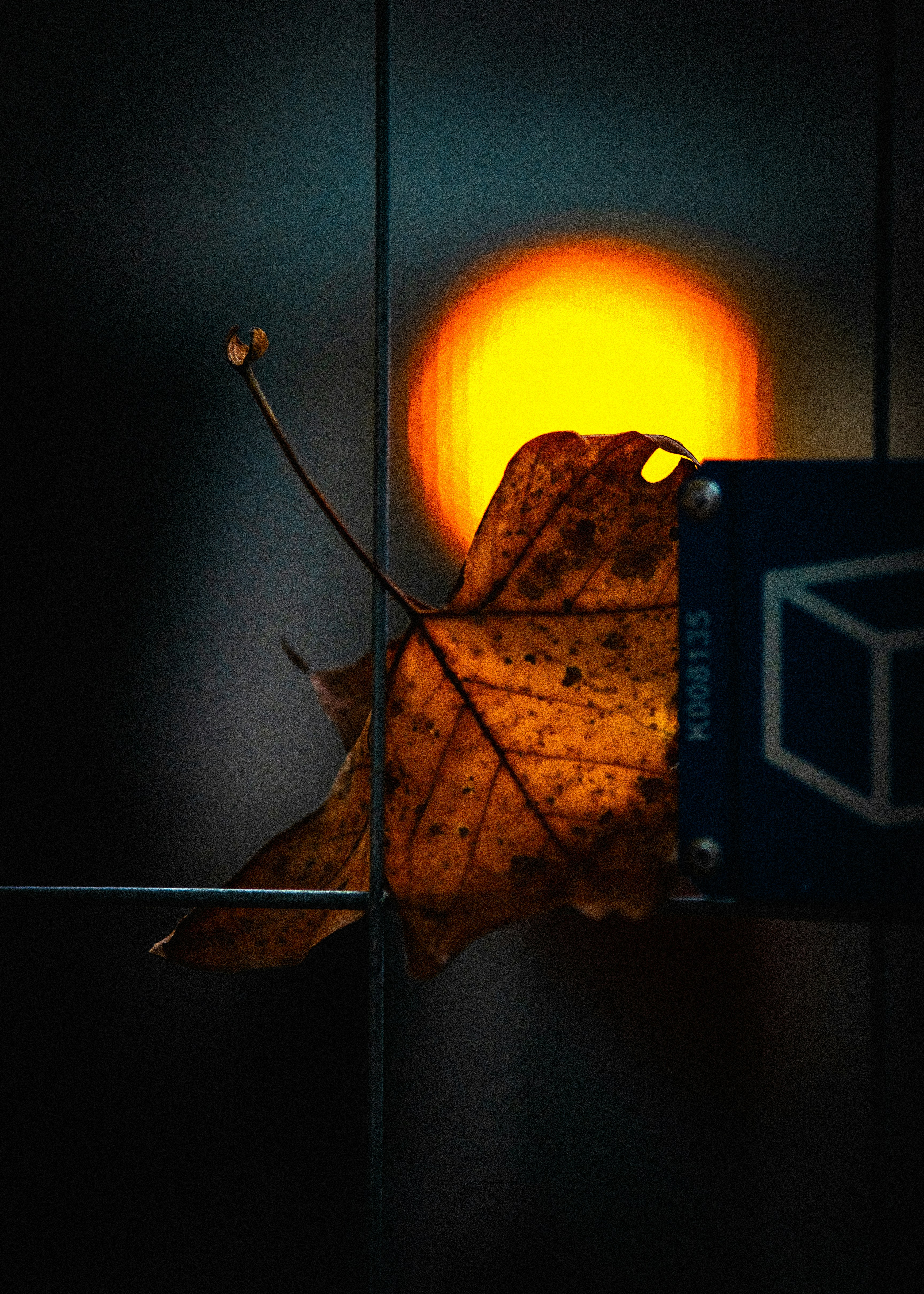 Leaf in the Glow: An Ember despite the Grid