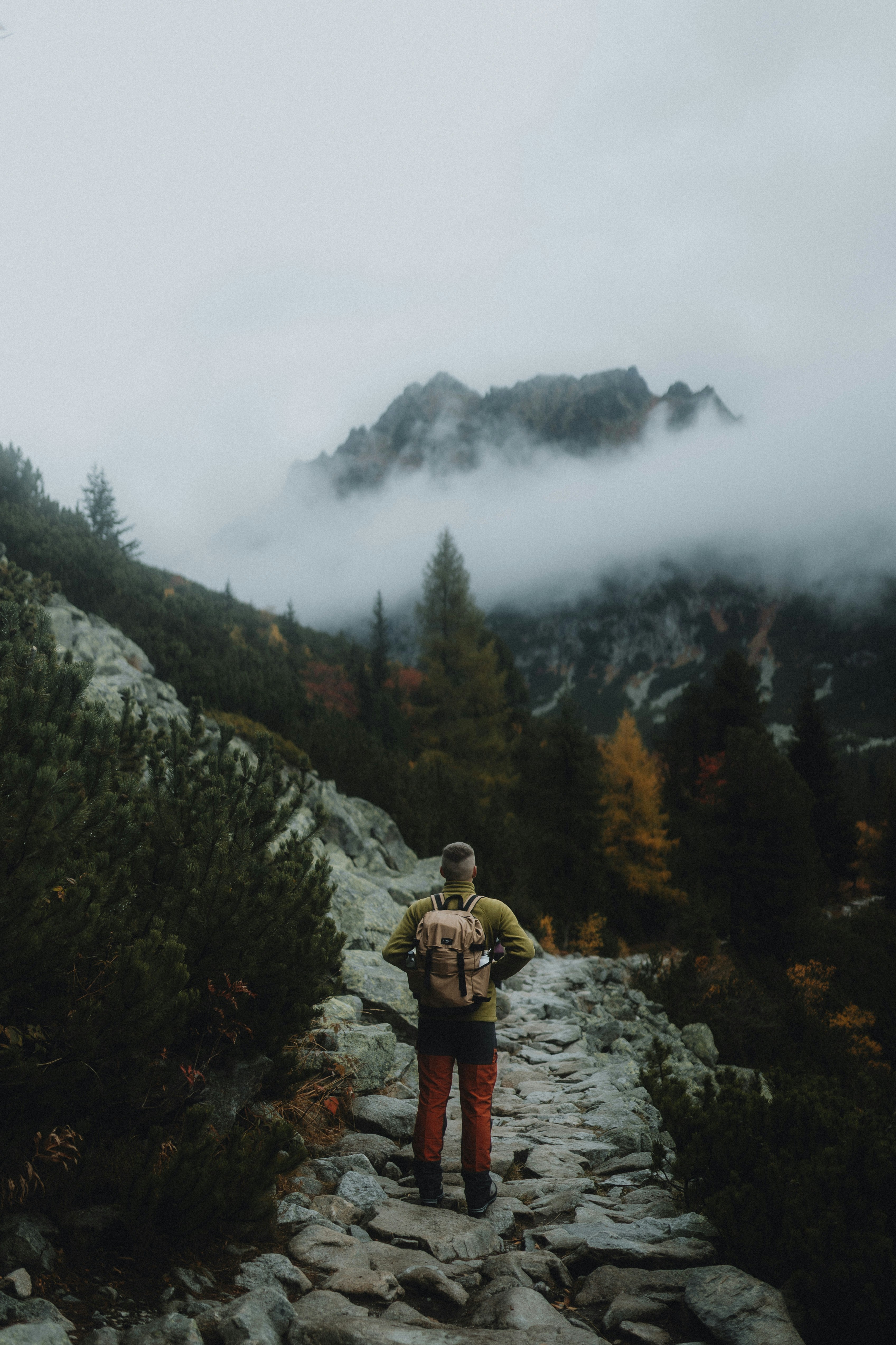 Trailblazer at the Mist-Wrapped Ascent