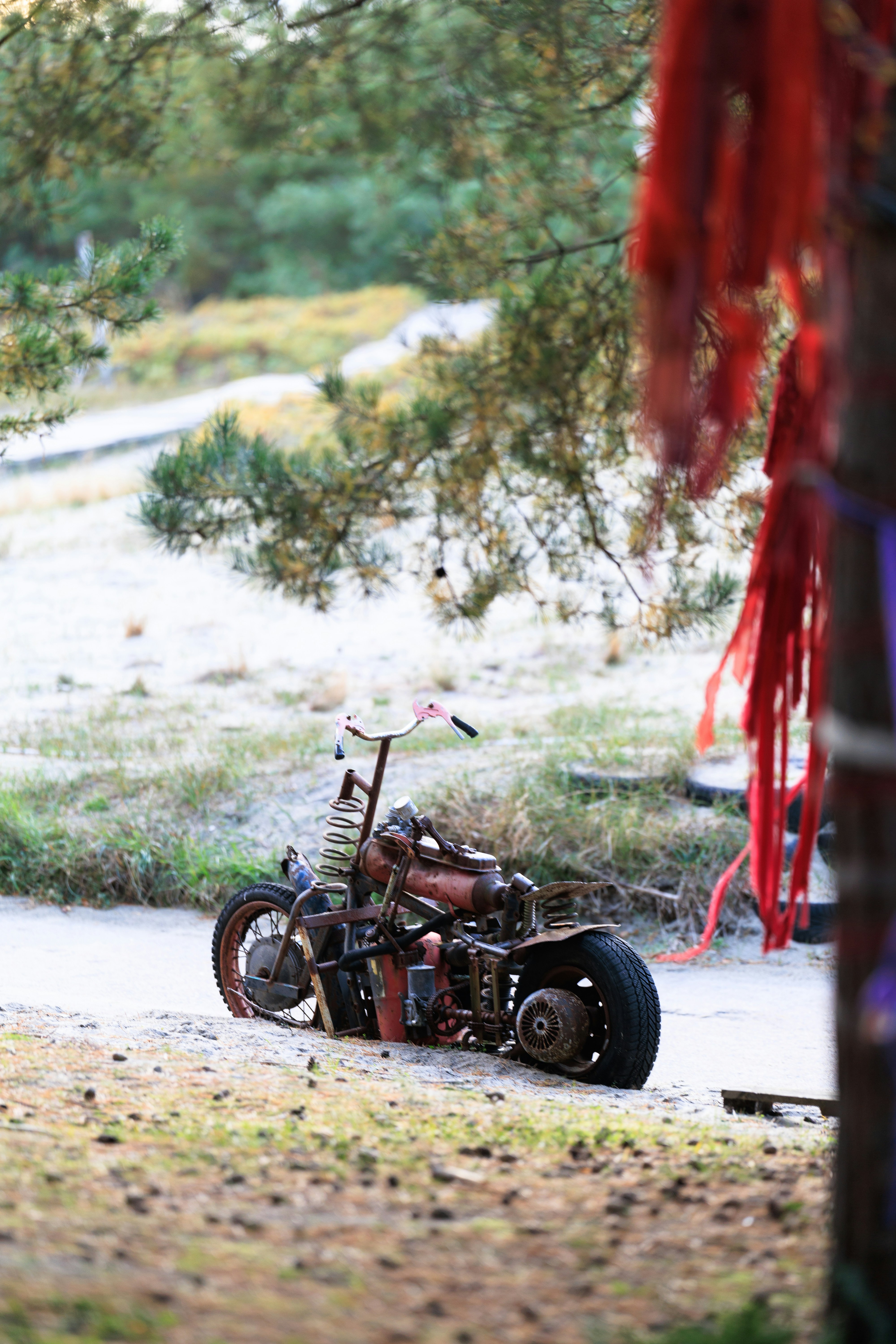 Rusted Dream: a half-buried motorcycle rests in a sunlit roadside patch