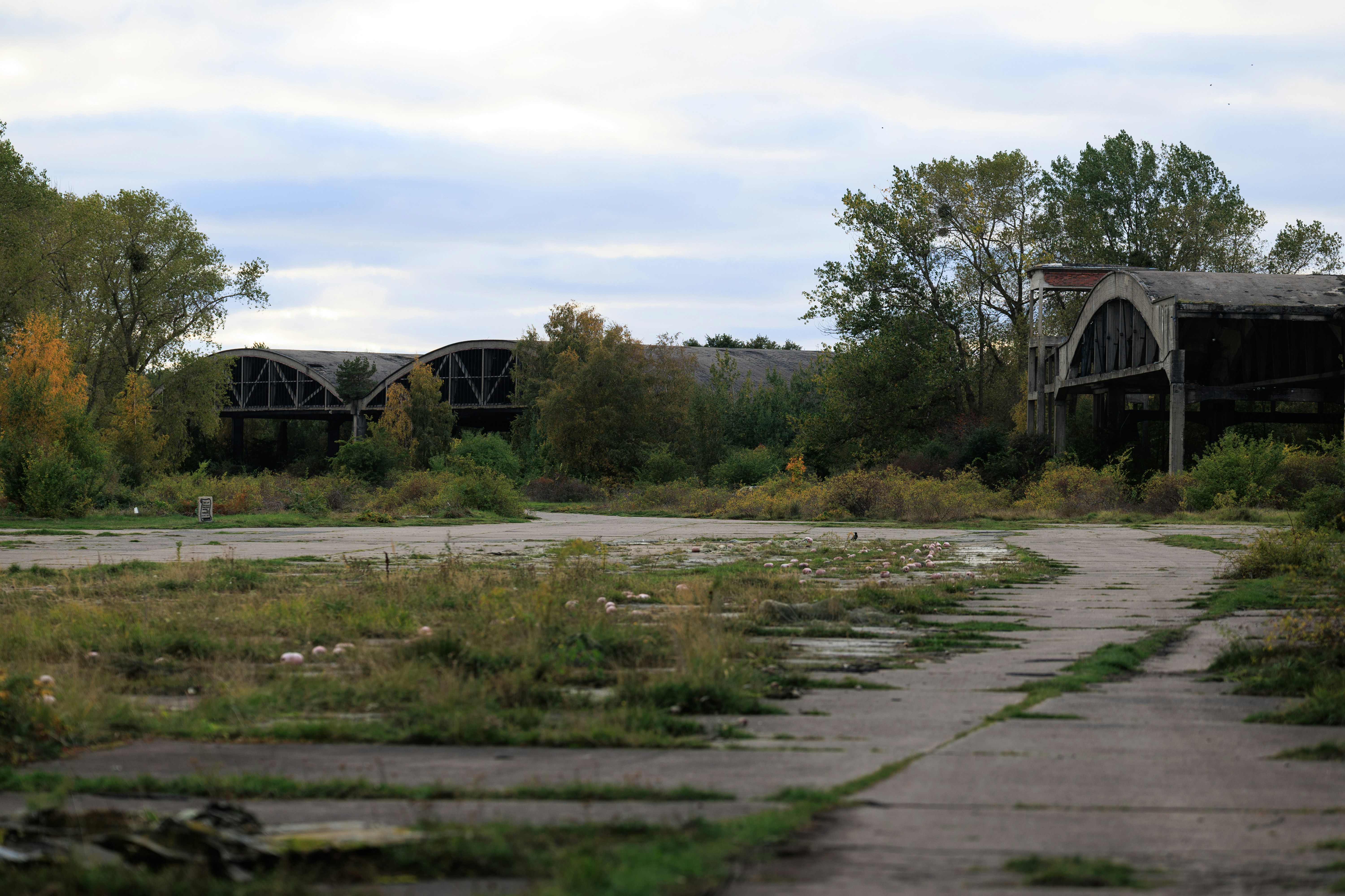 Ruins of the Concrete Runway: Silent Echoes of an Abandoned Airfield